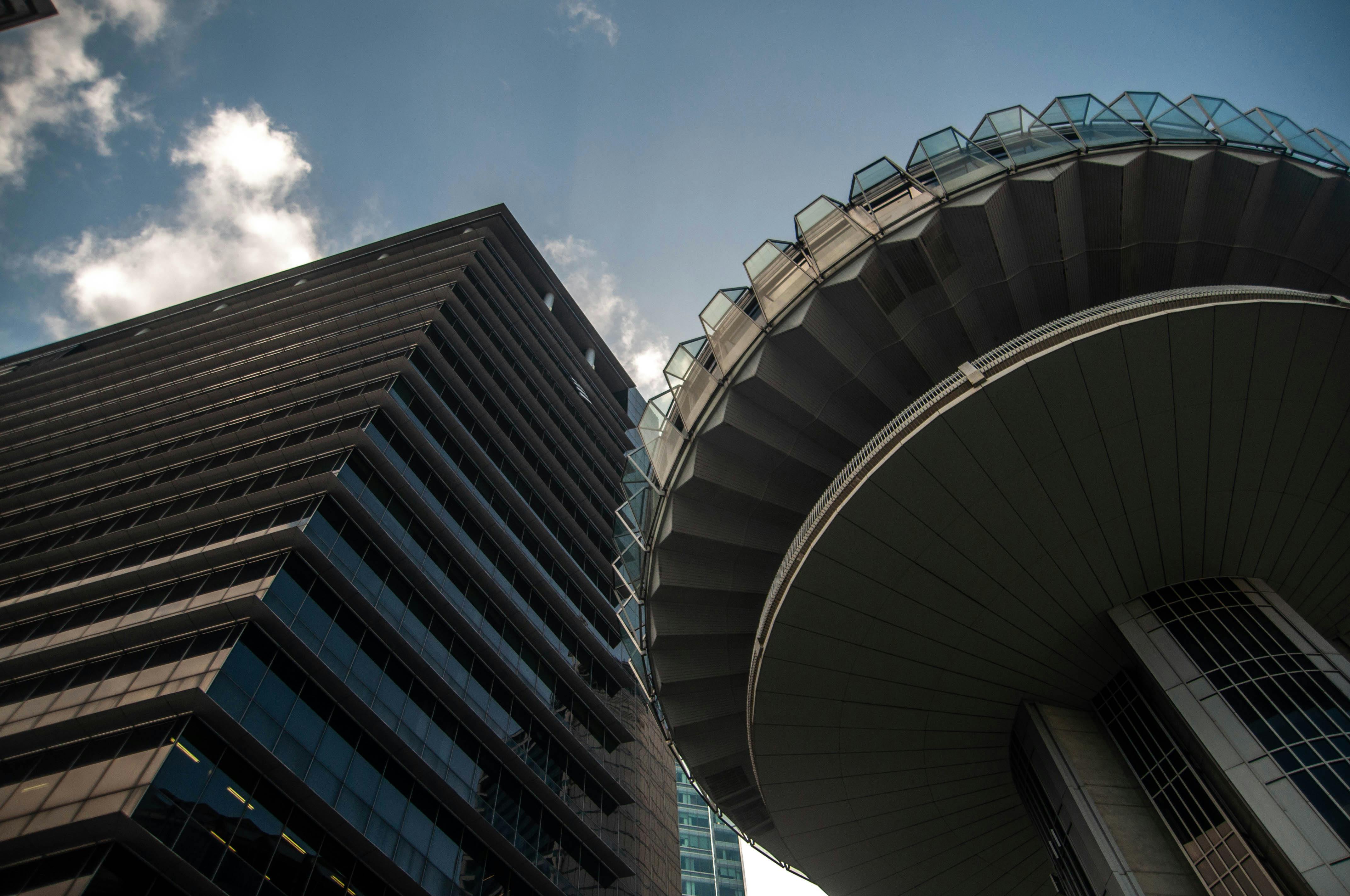 Look up · Free Stock Photo