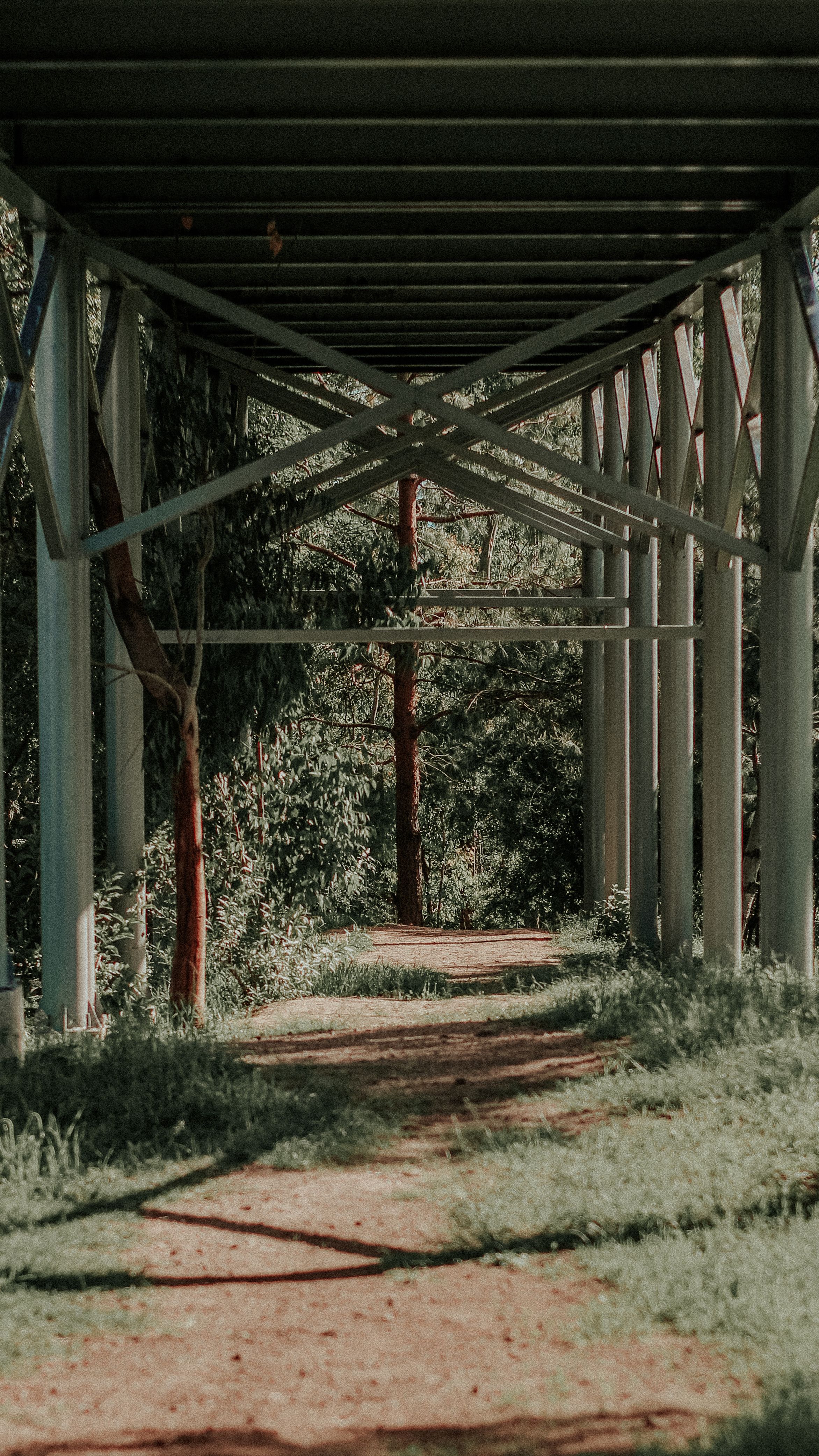 A walkway under a bridge with a path leading to it · Free Stock Photo