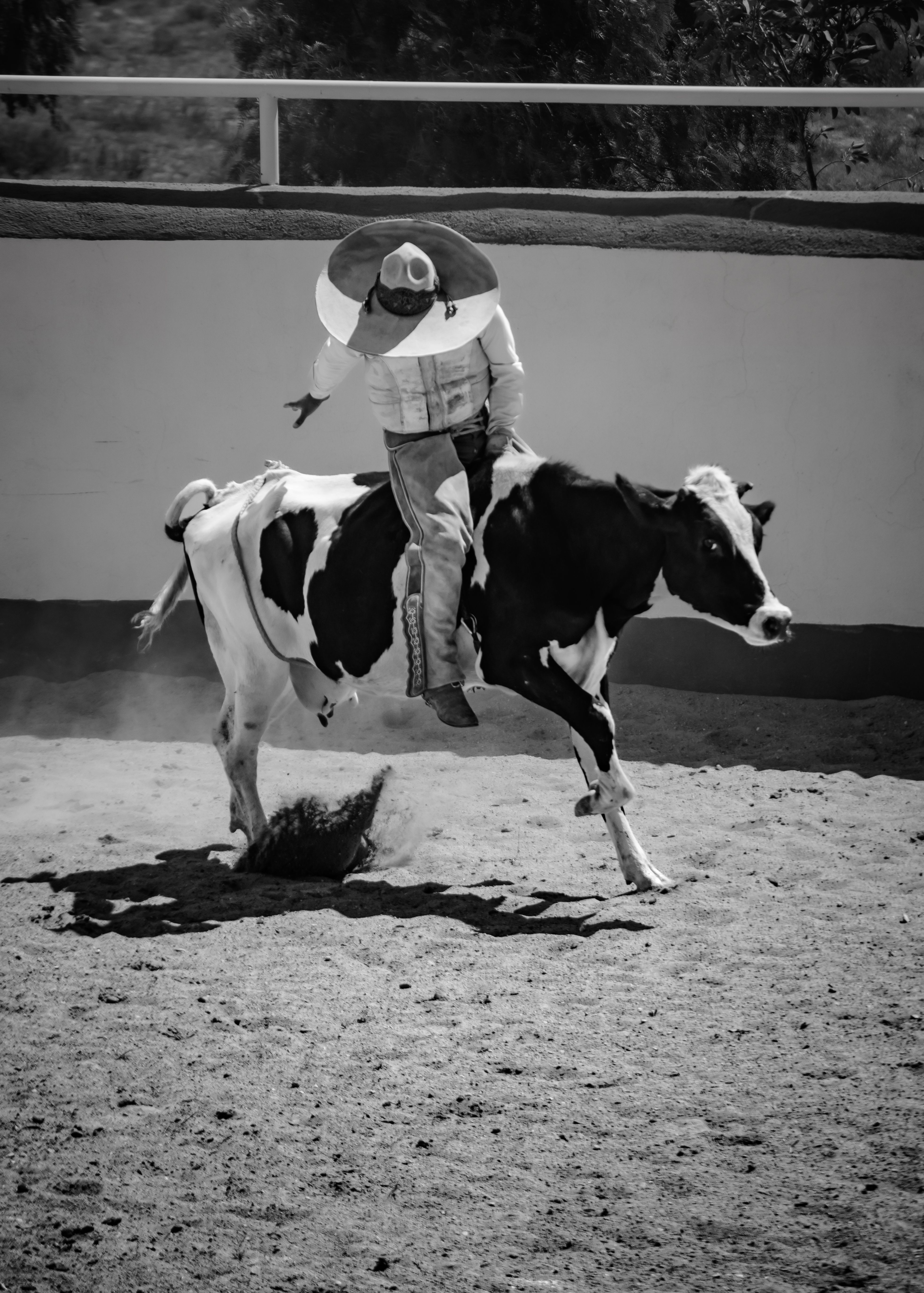 Buckaroo Cowboy Photos, Download The BEST Free Buckaroo Cowboy Stock ...