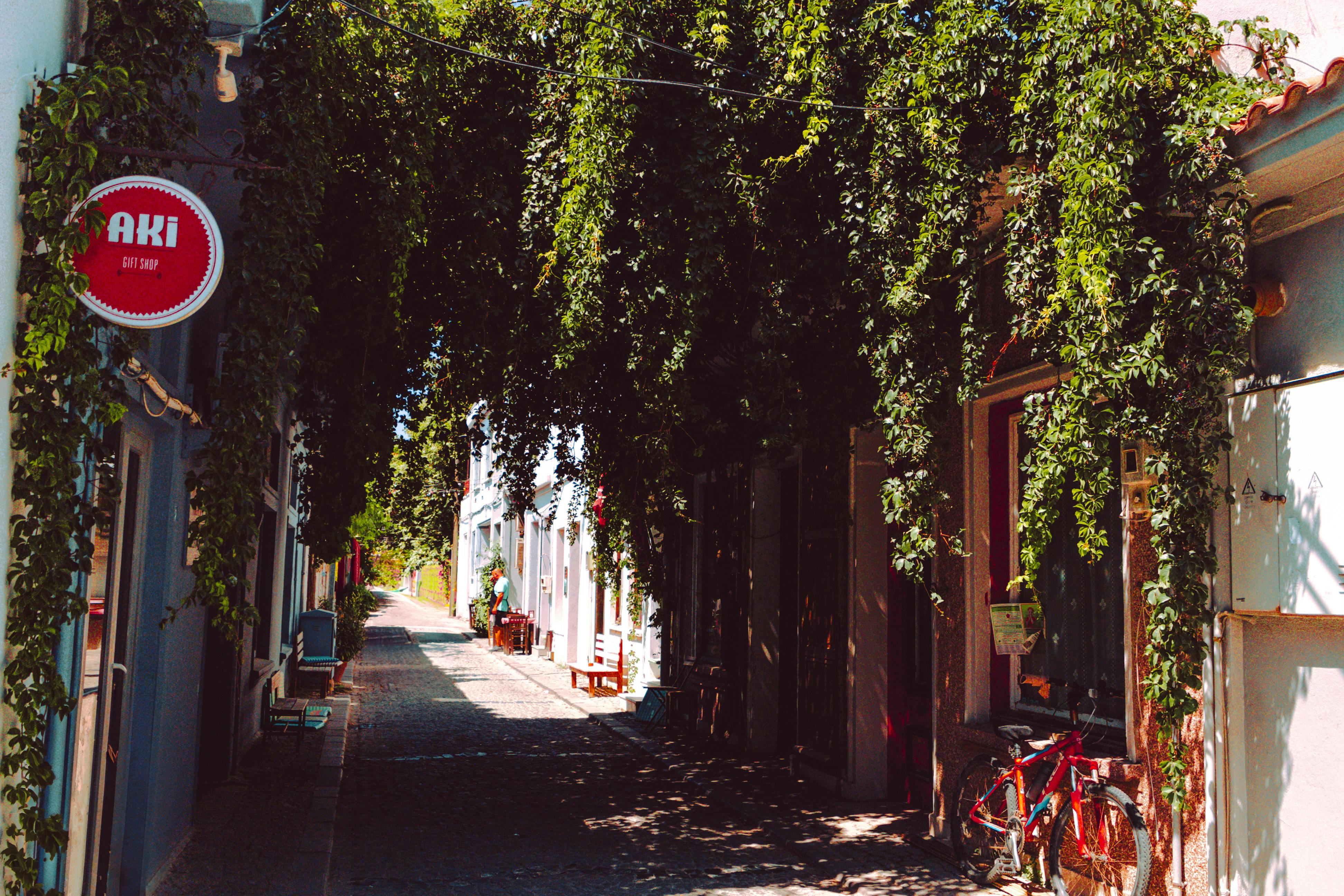 Sheffield Pennsylvania Secrets: Why This Hidden Gem Captivates Visitors