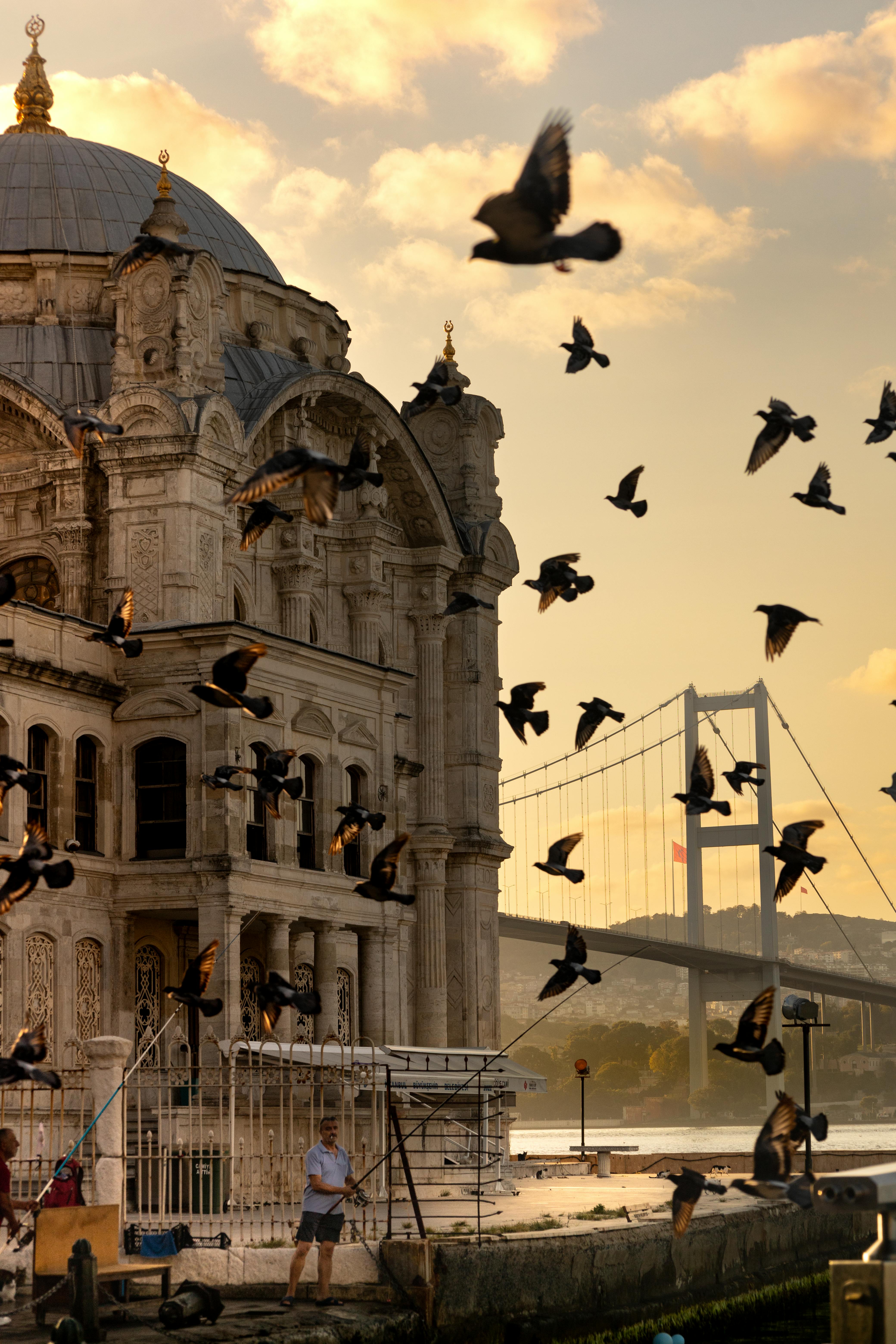 Ücretsiz açık hava, akşam ışığı, altın saat, asya, avrupa, balıkçı ...