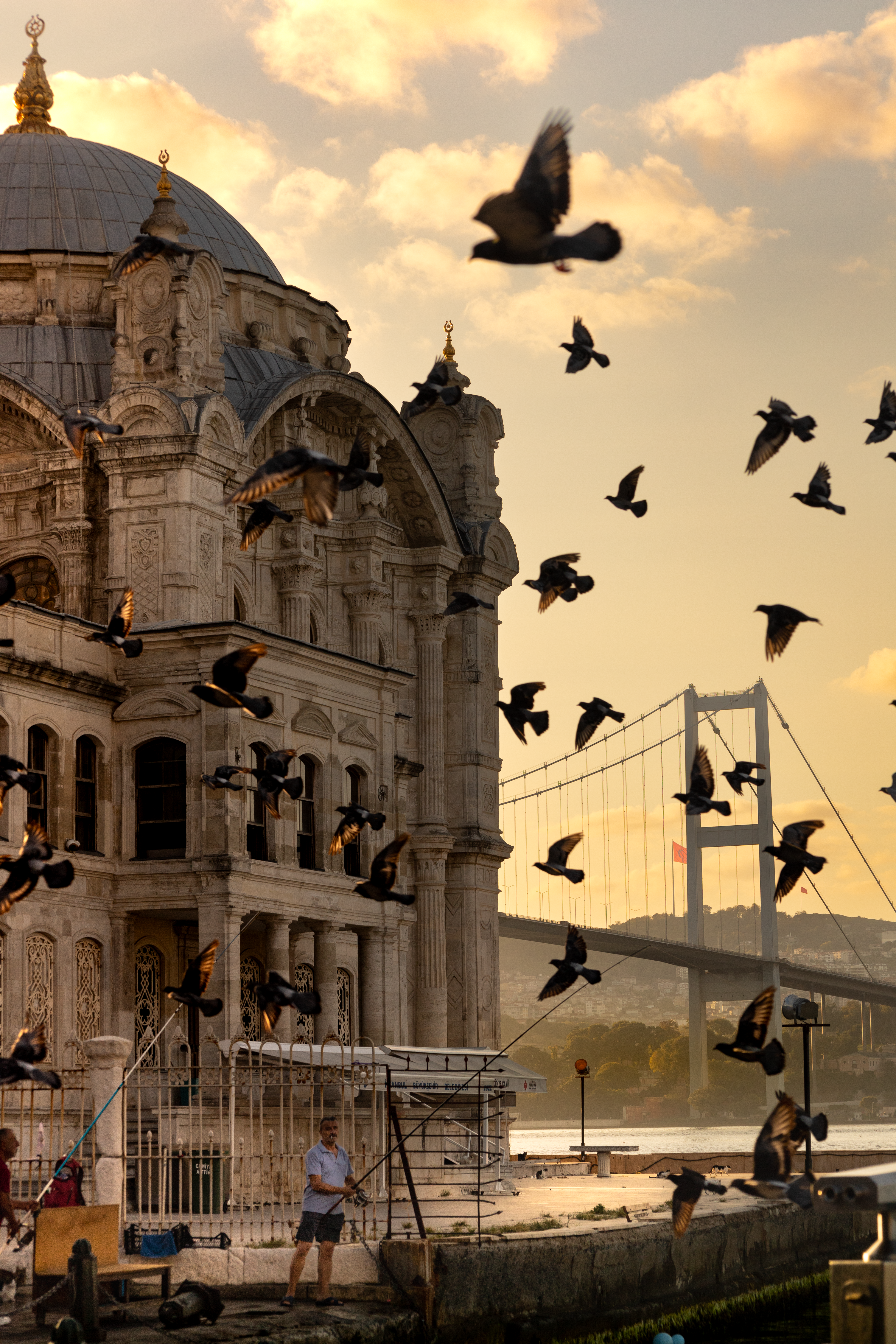 Ortakoy Mosque and Birds · Free Stock Photo