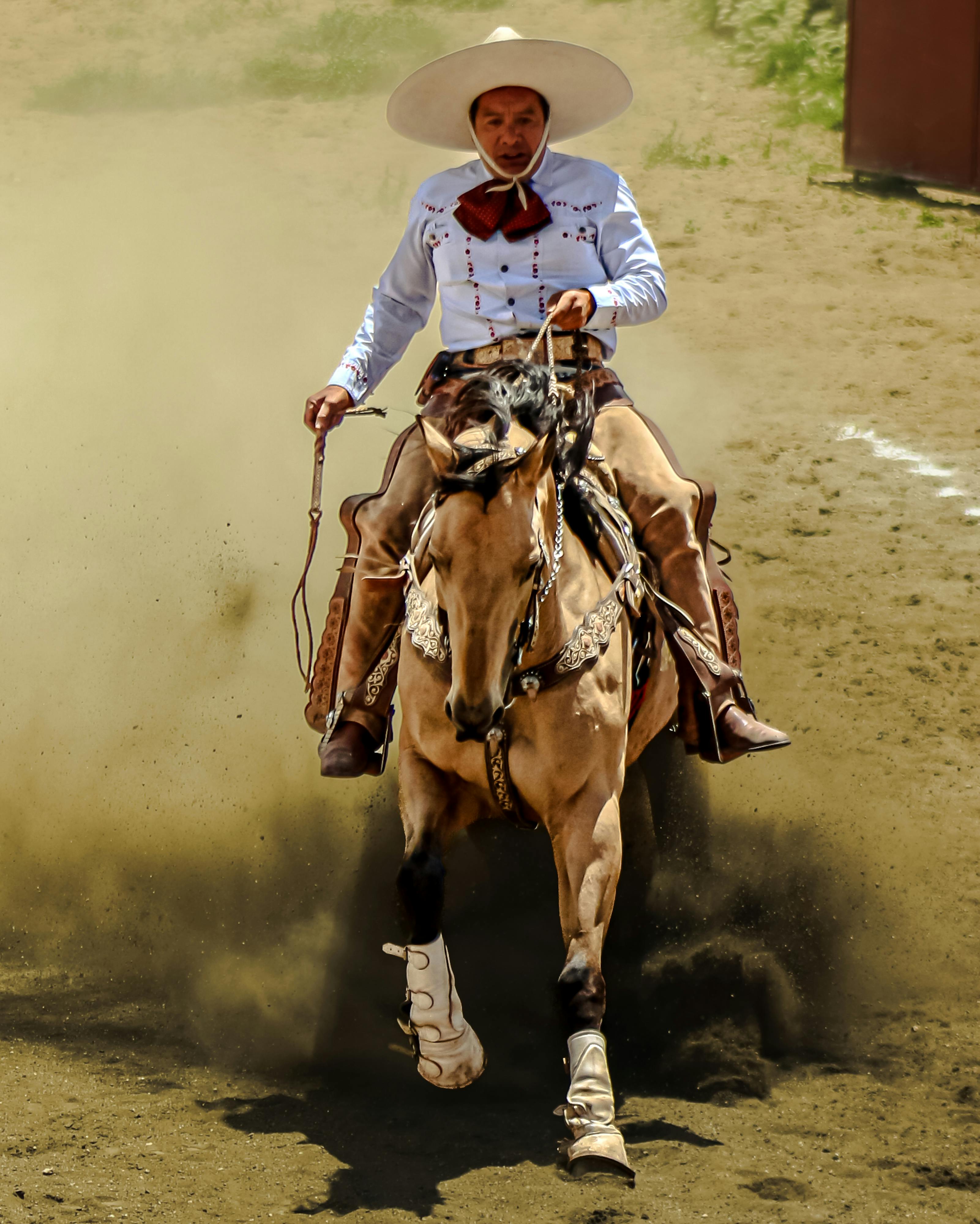 A man in a cowboy hat riding a horse · Free Stock Photo