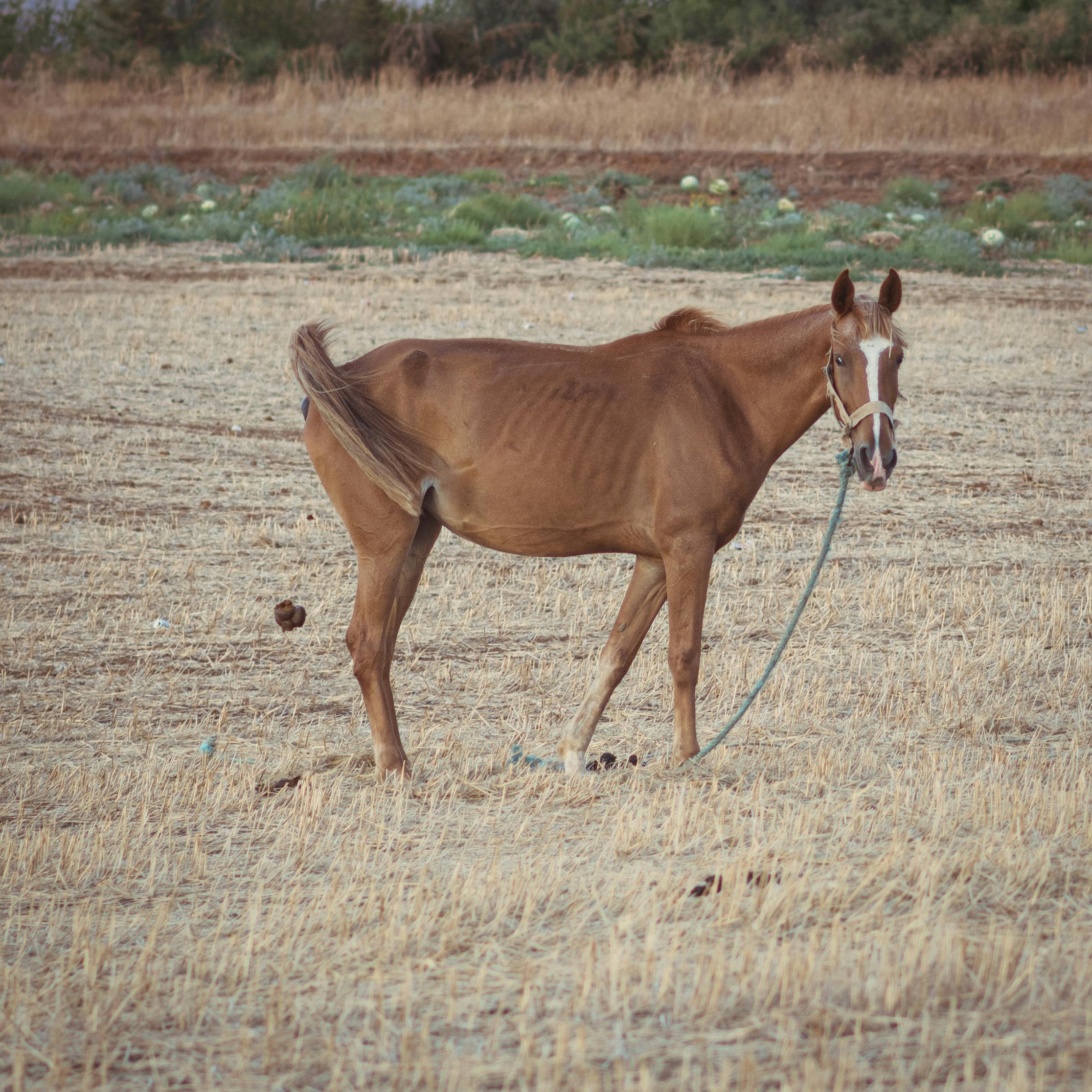 Women+Peeing+And+Pooping Photos, Download The BEST Free Women+Peeing ...