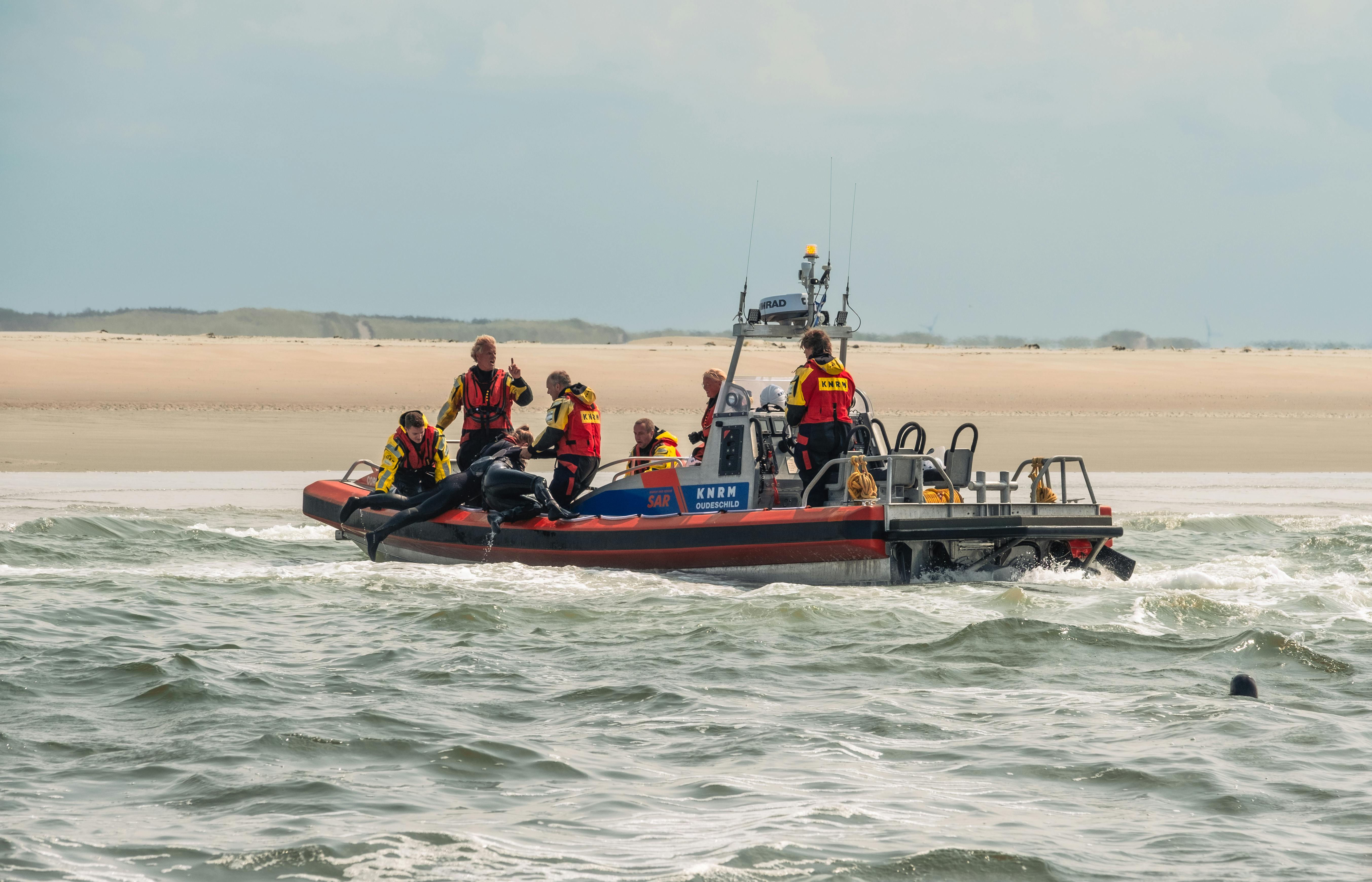 KNRM seal rescue [9] - Seal was stuck in a net · Free Stock Photo