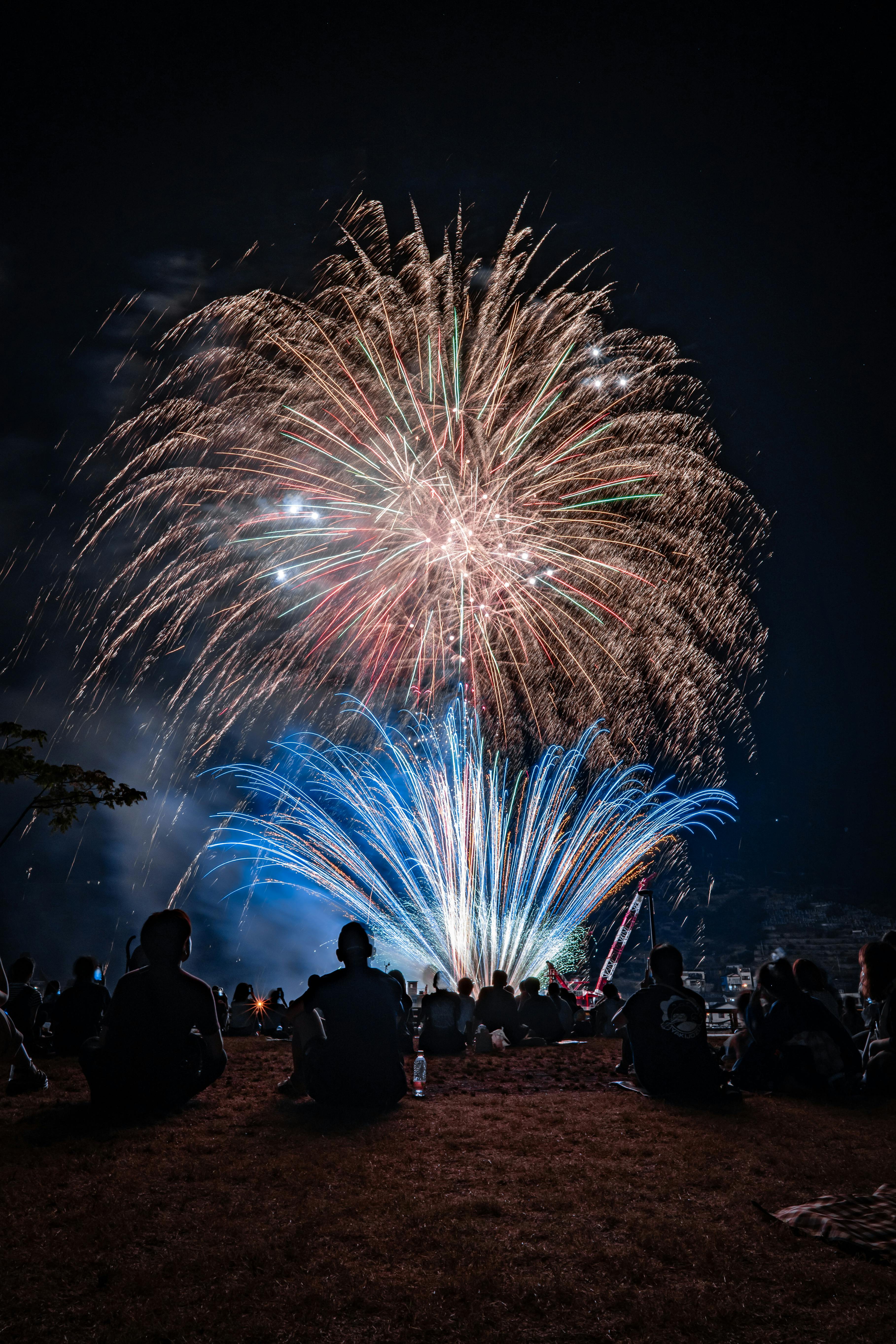 Fireworks over the water at night with people sitting on the grass ...