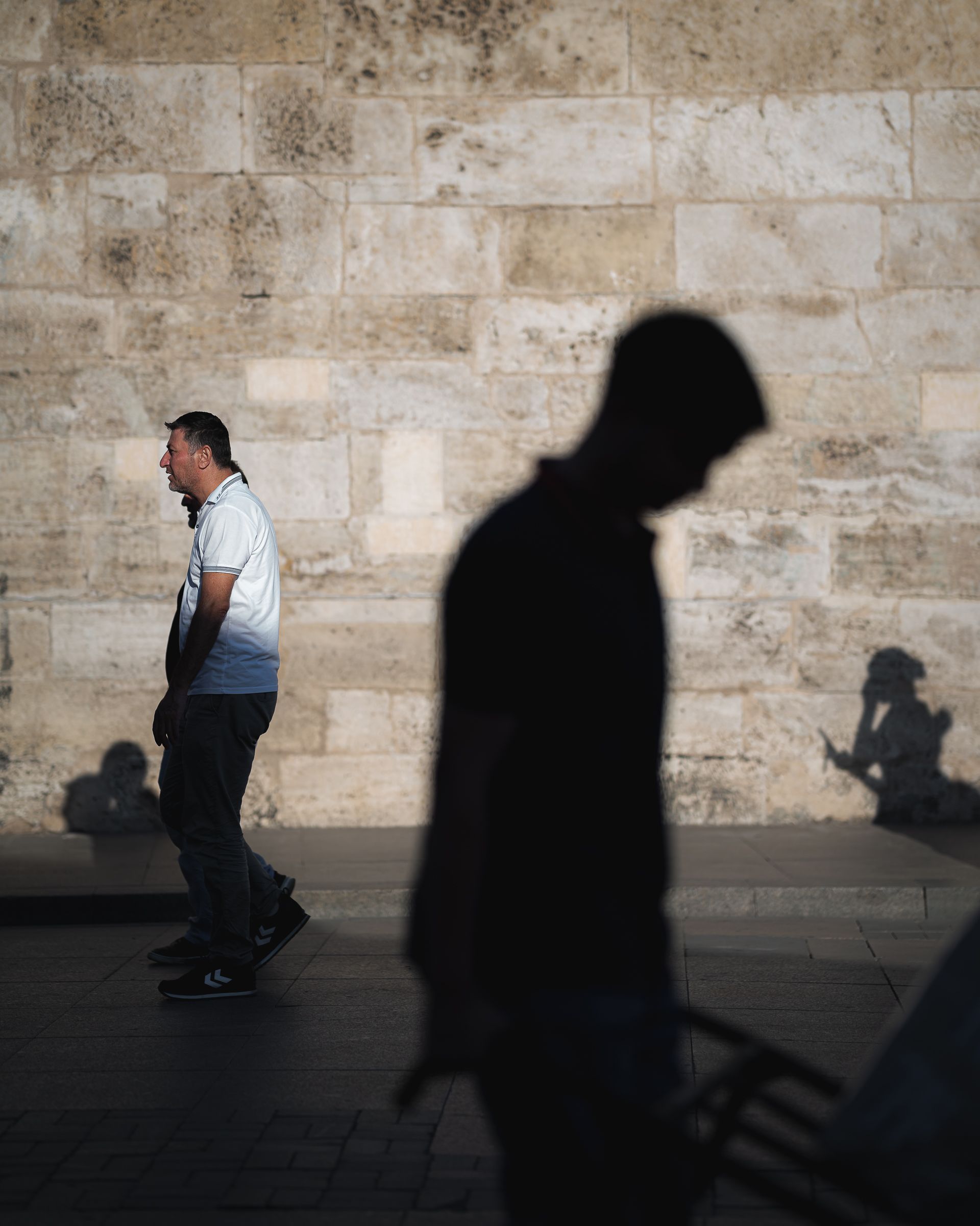 Shadow Play · Free Stock Photo