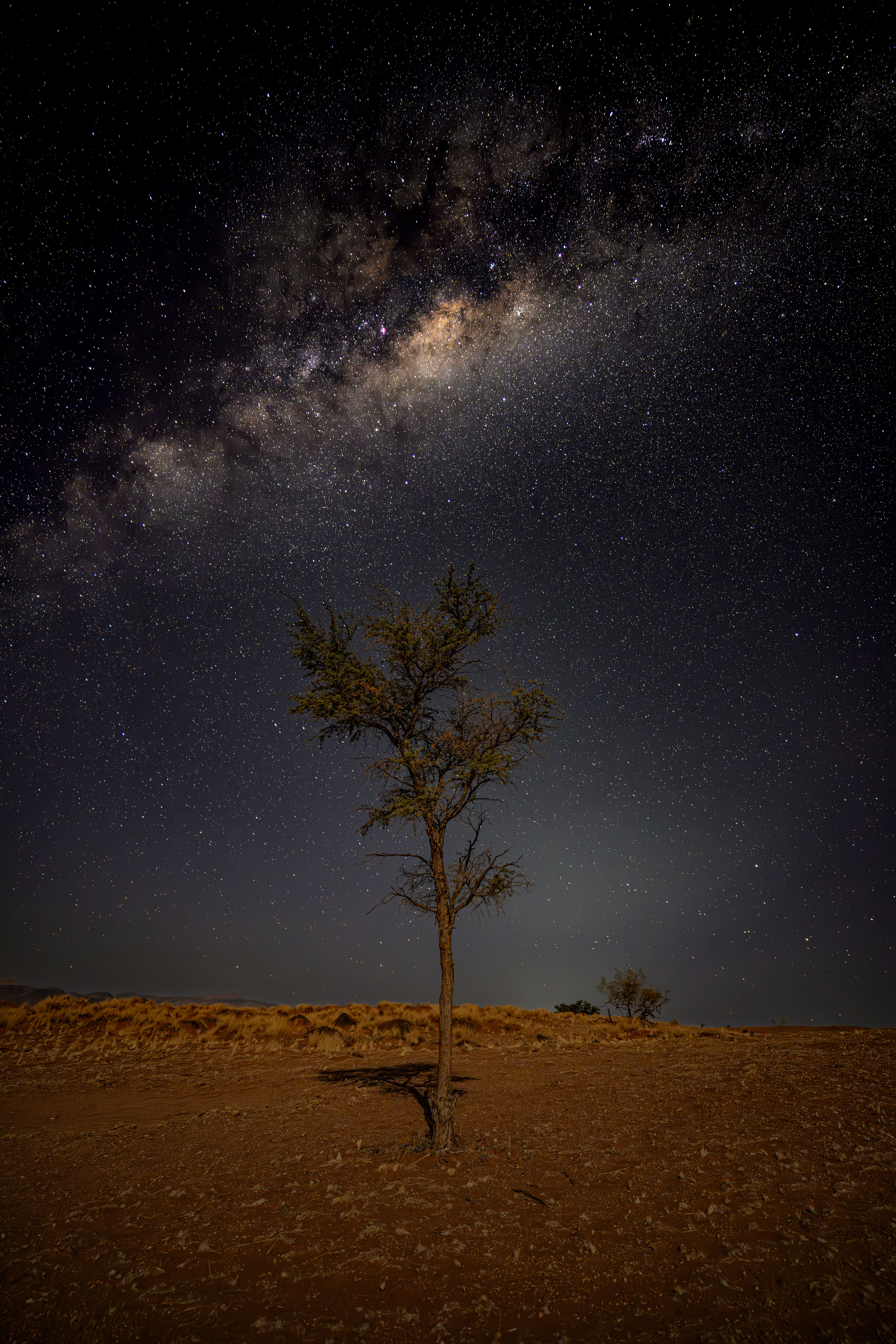 A lone tree in the desert under the milky · Free Stock Photo