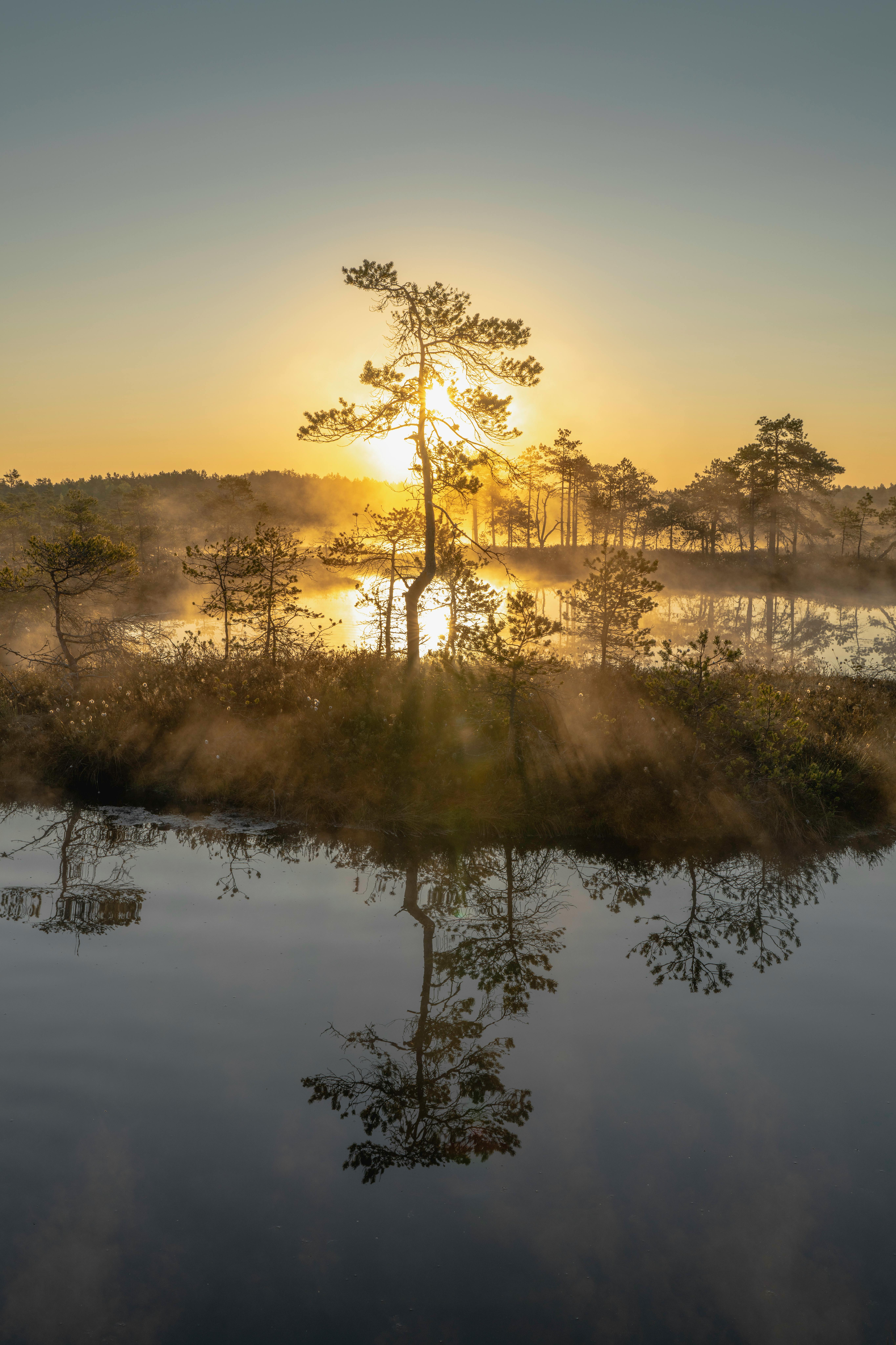 Sunrise in forrest lake 4 · Free Stock Photo