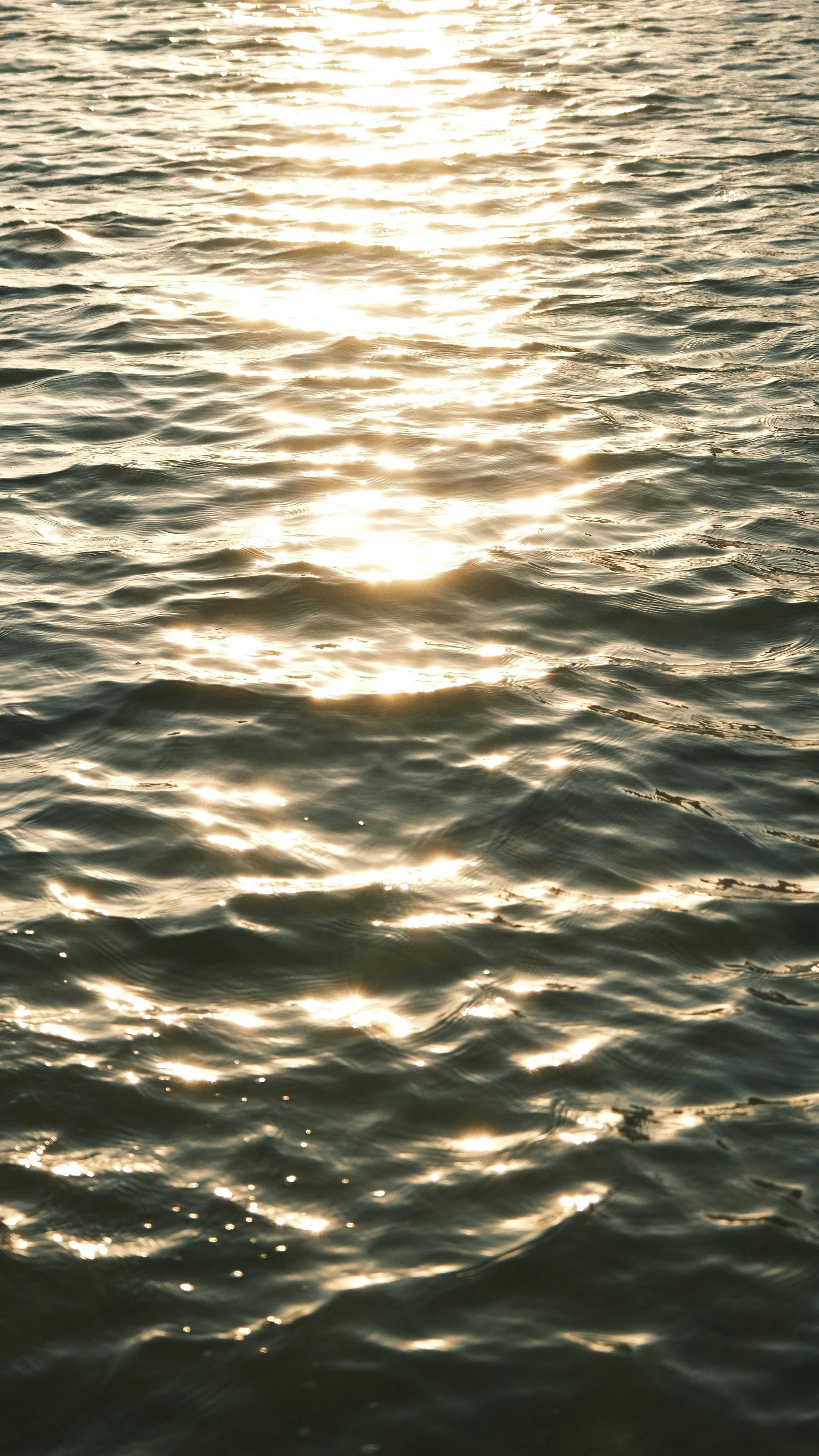 A photo of the sun shining on water · Free Stock Photo