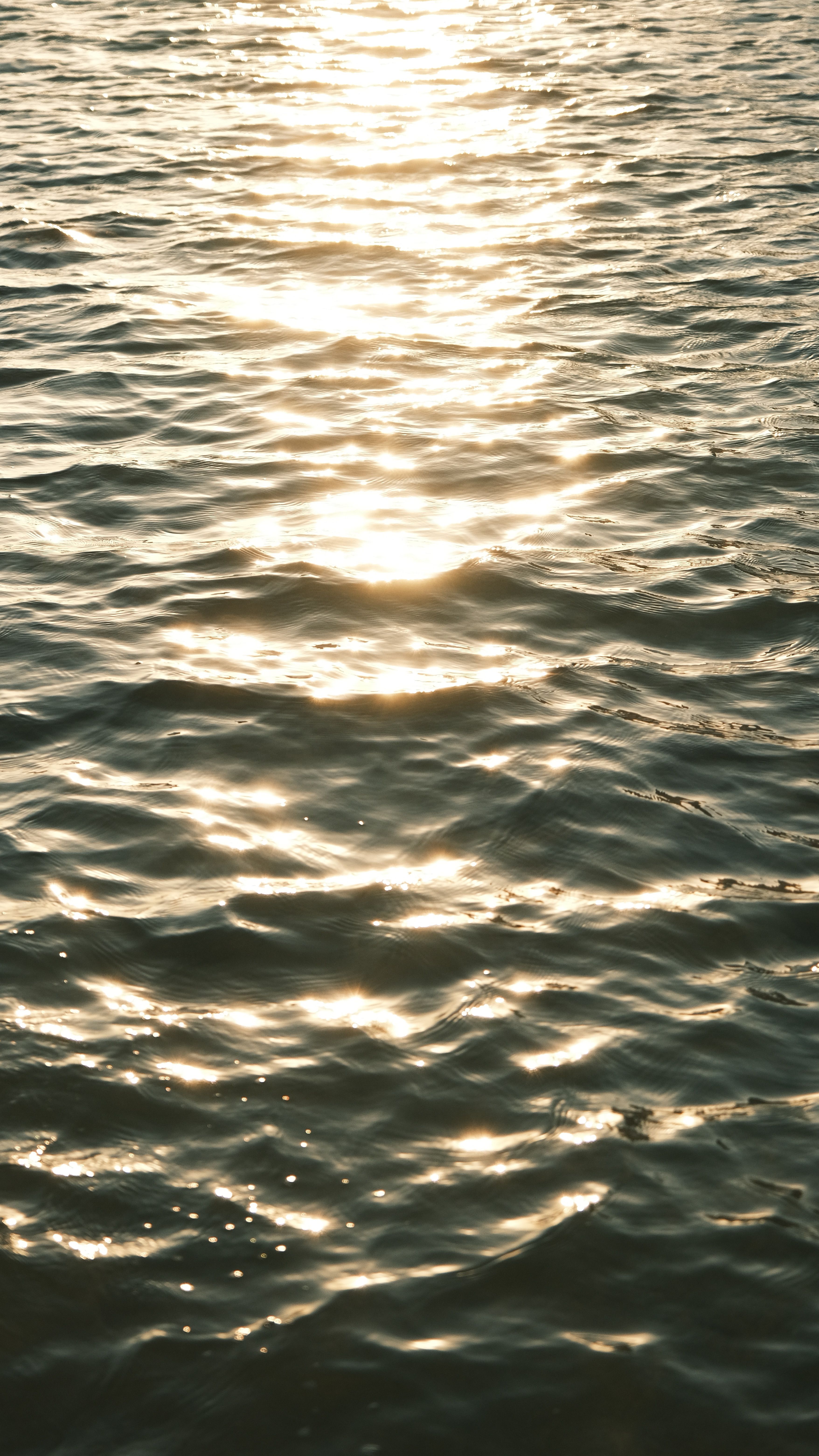 A photo of the sun shining on water · Free Stock Photo