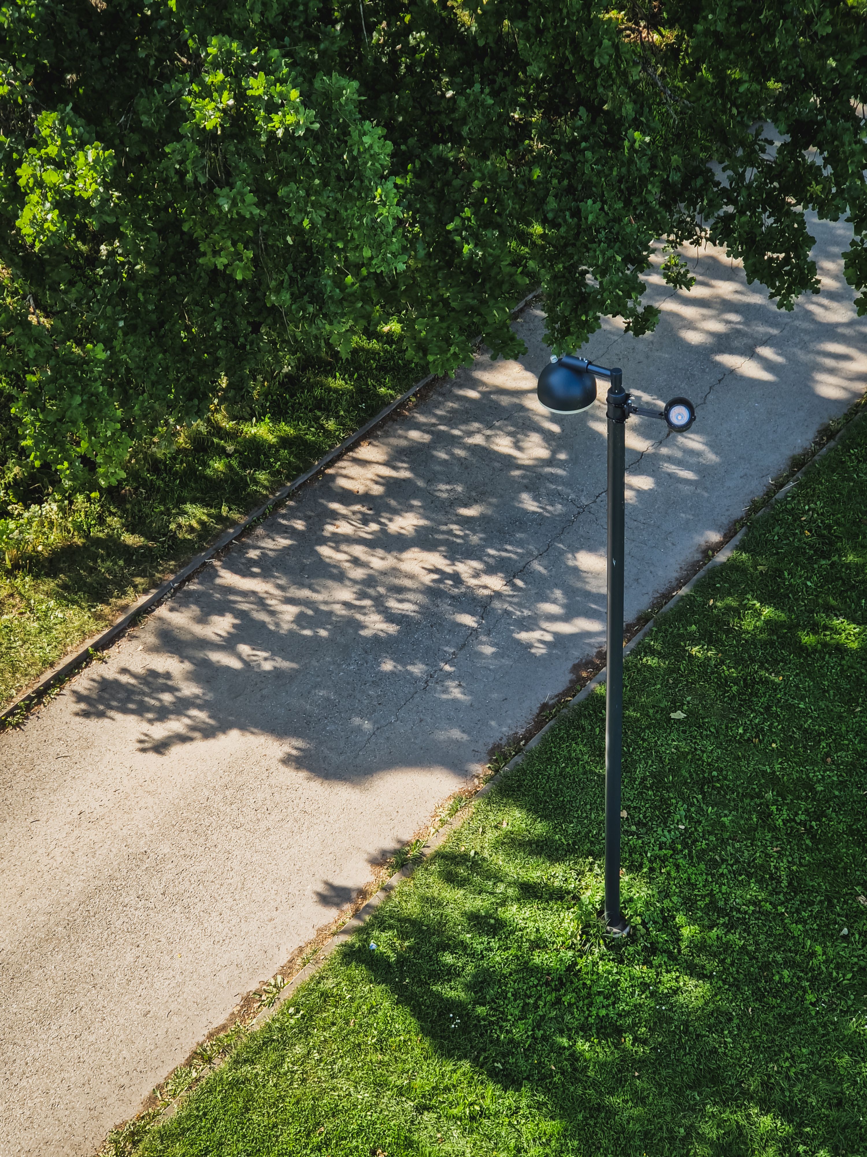 An overhead view of a street light and a tree · Free Stock Photo