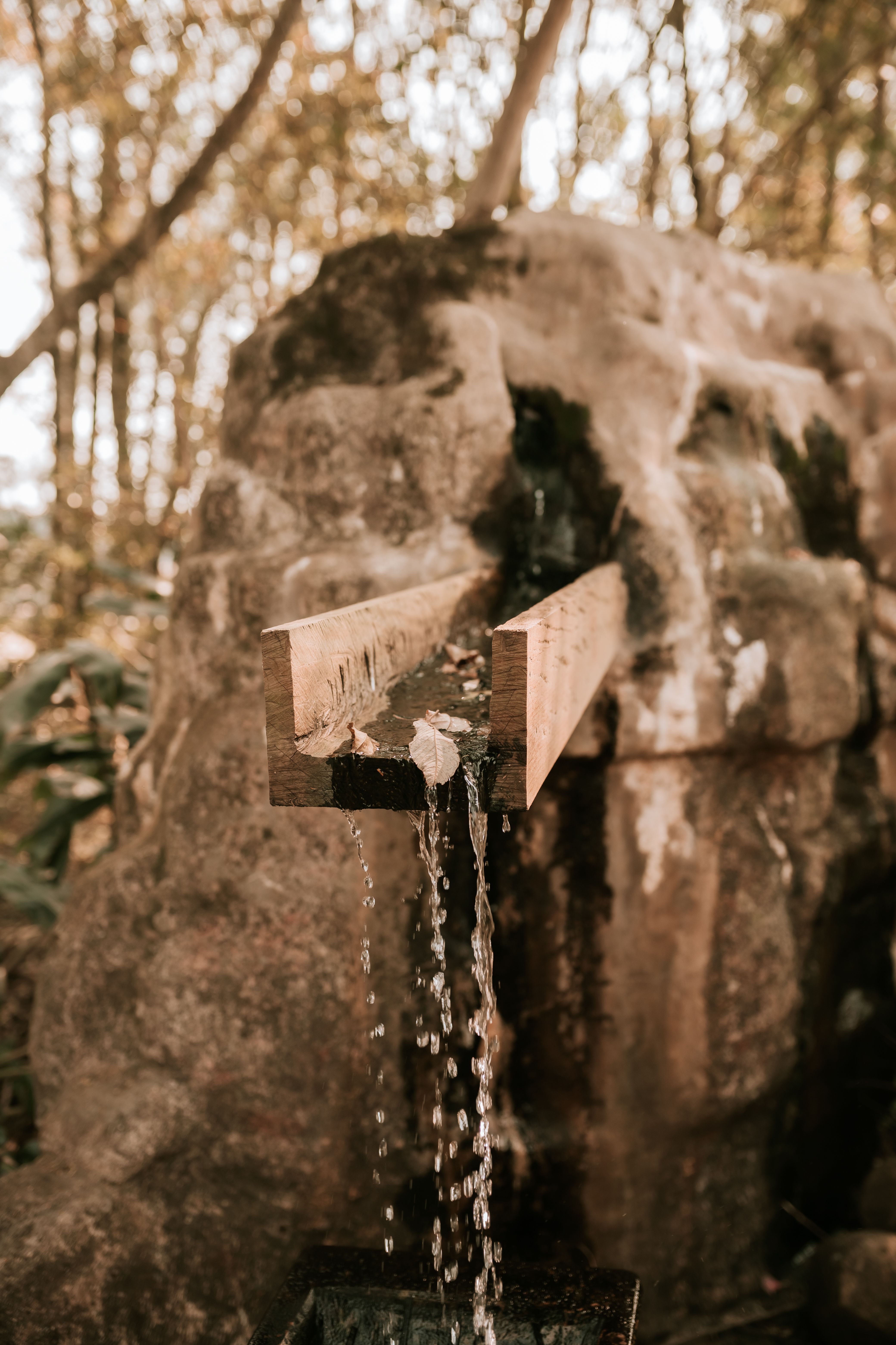 Groundwater Photos, Download The BEST Free Groundwater Stock Photos ...