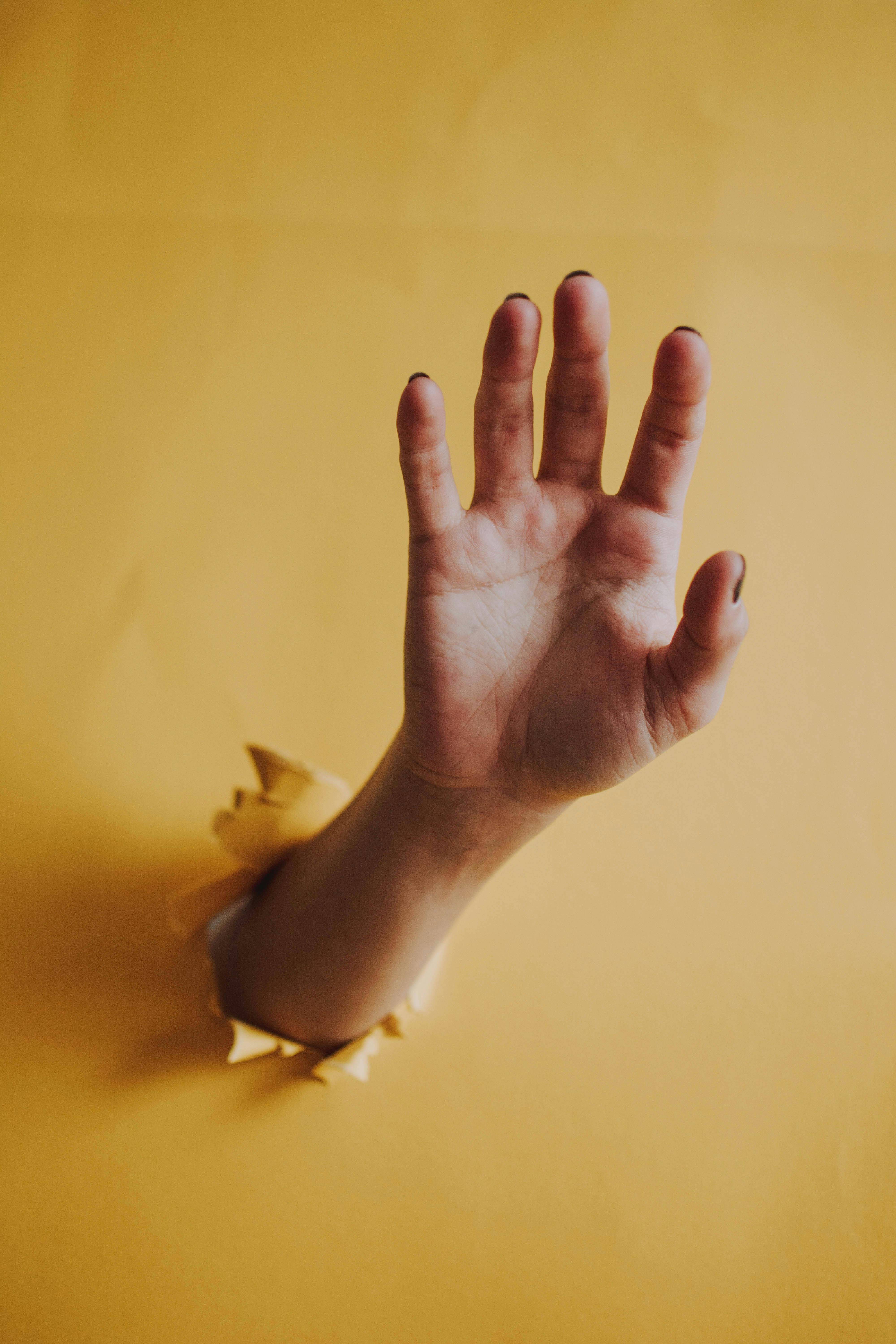 Right Human Hand · Free Stock Photo