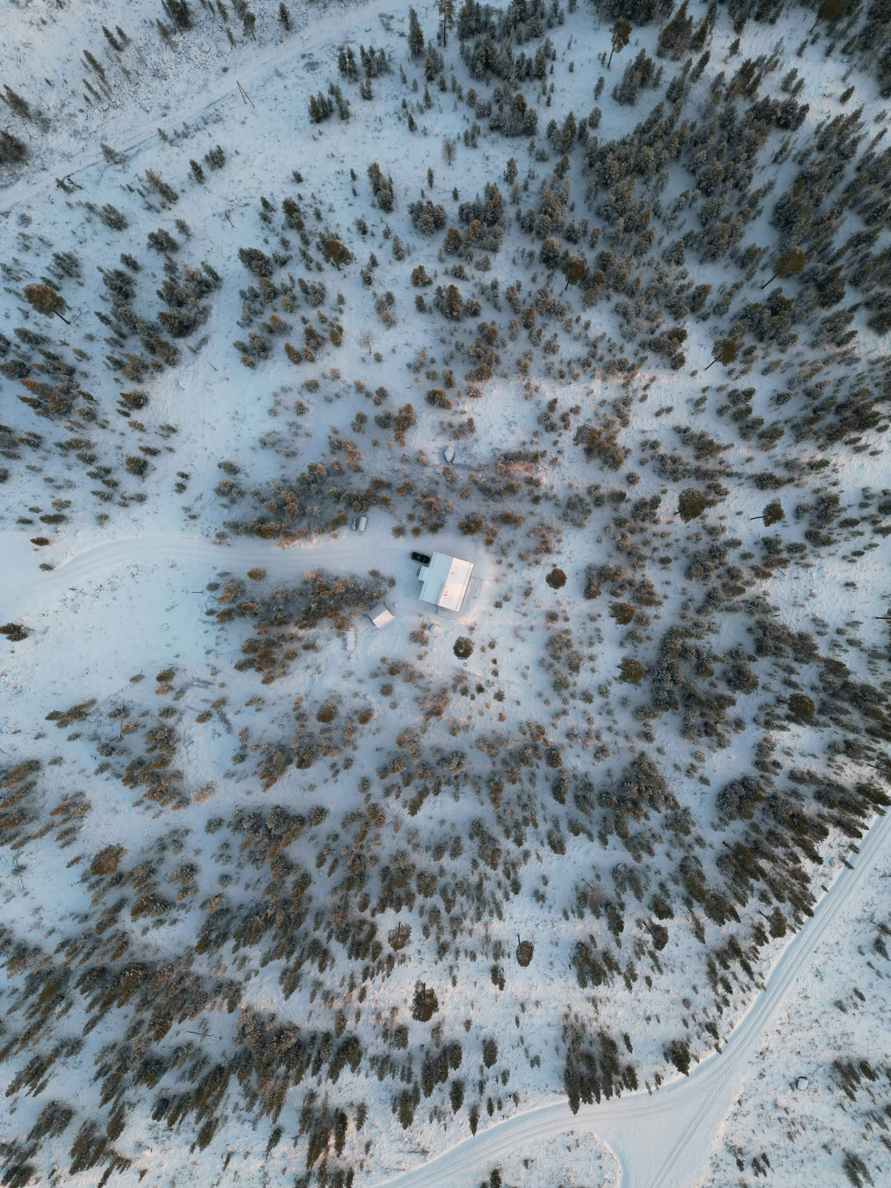 Pulses Farm Photos, Download The BEST Free Pulses Farm Stock Photos ...