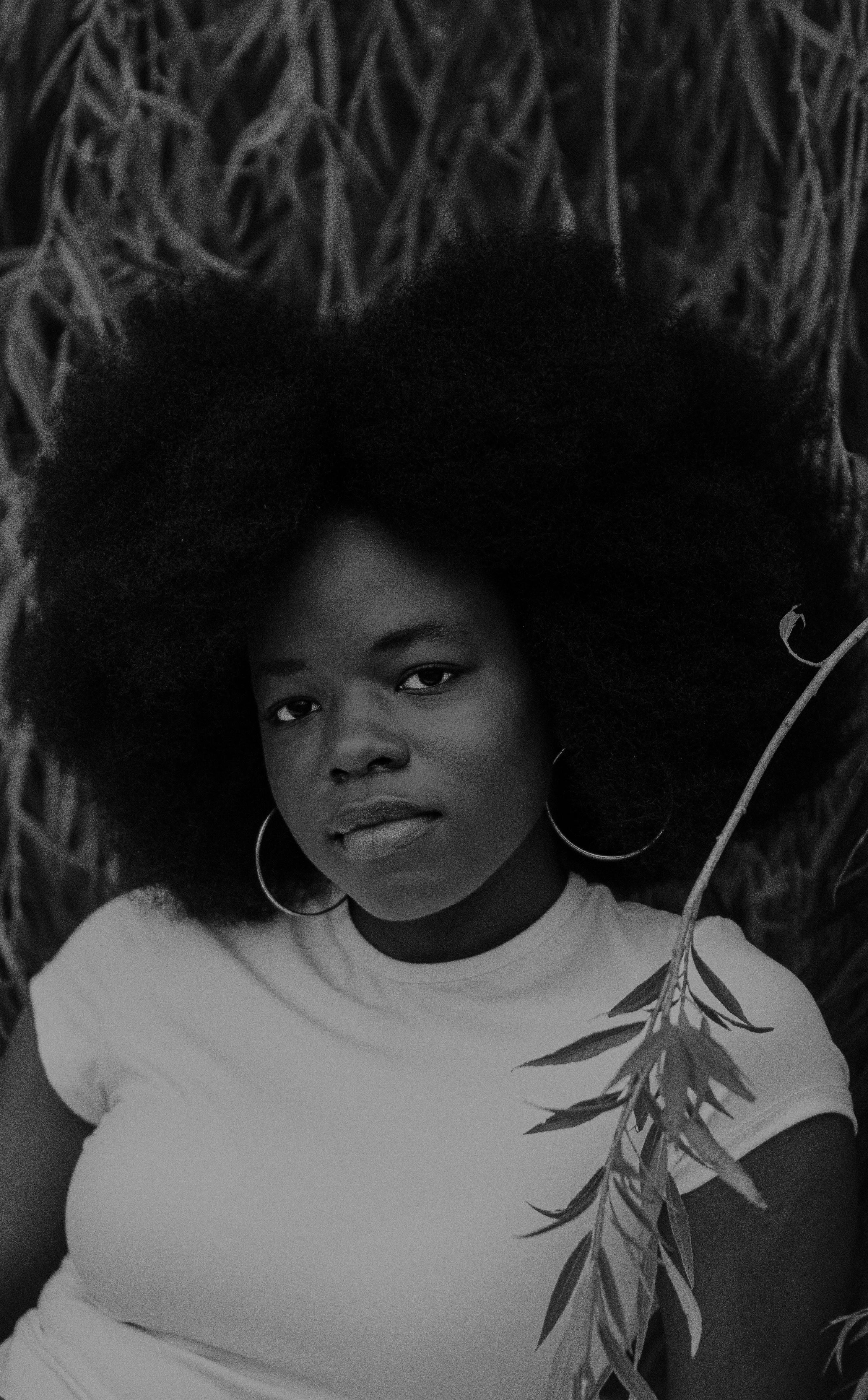 Portrait of Woman with Afro in Black and White · Free Stock Photo