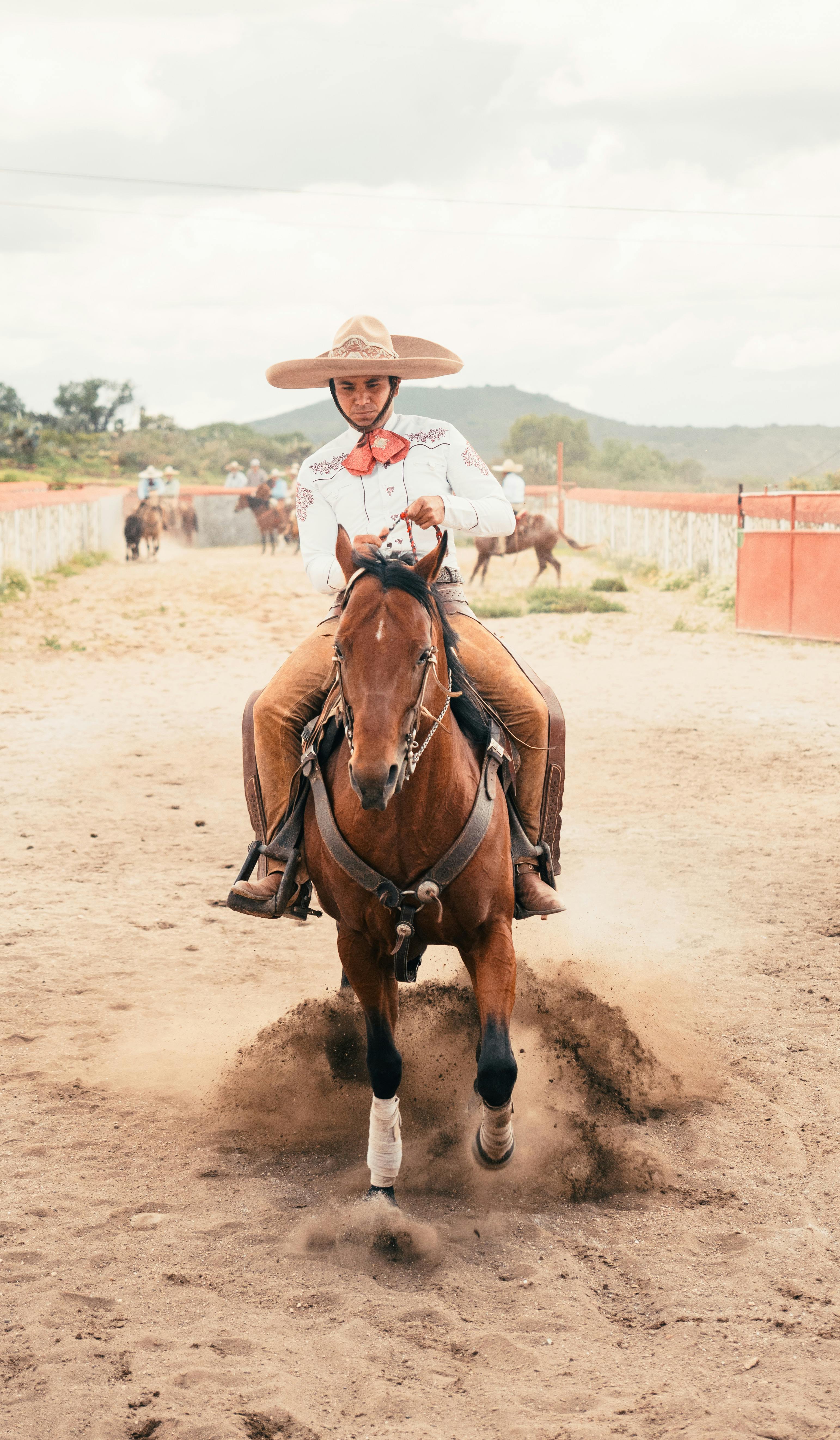 Man Riding A Horse · Free Stock Photo