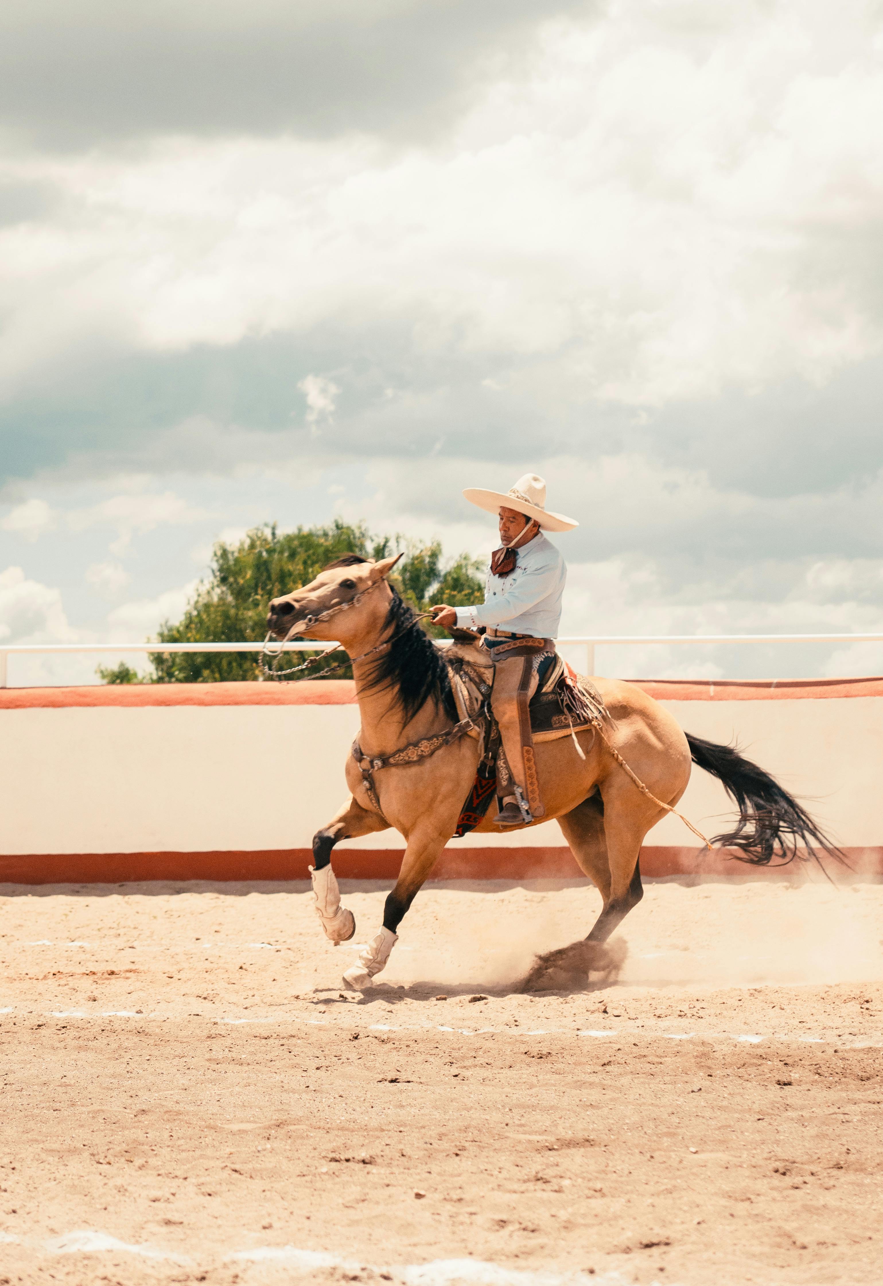 Man Riding A Horse · Free Stock Photo