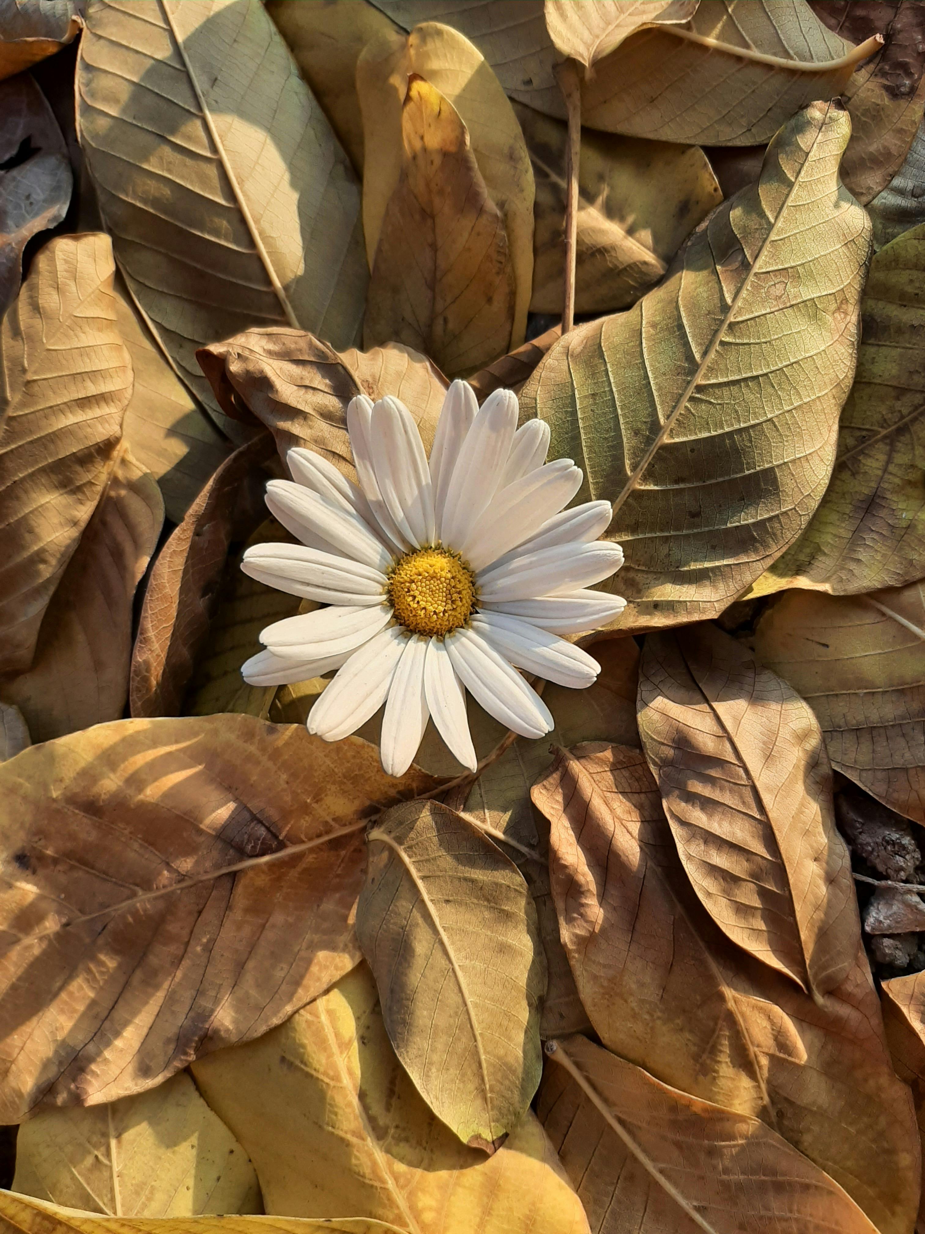 Transition Images Photos, Download The BEST Free Transition Images ...