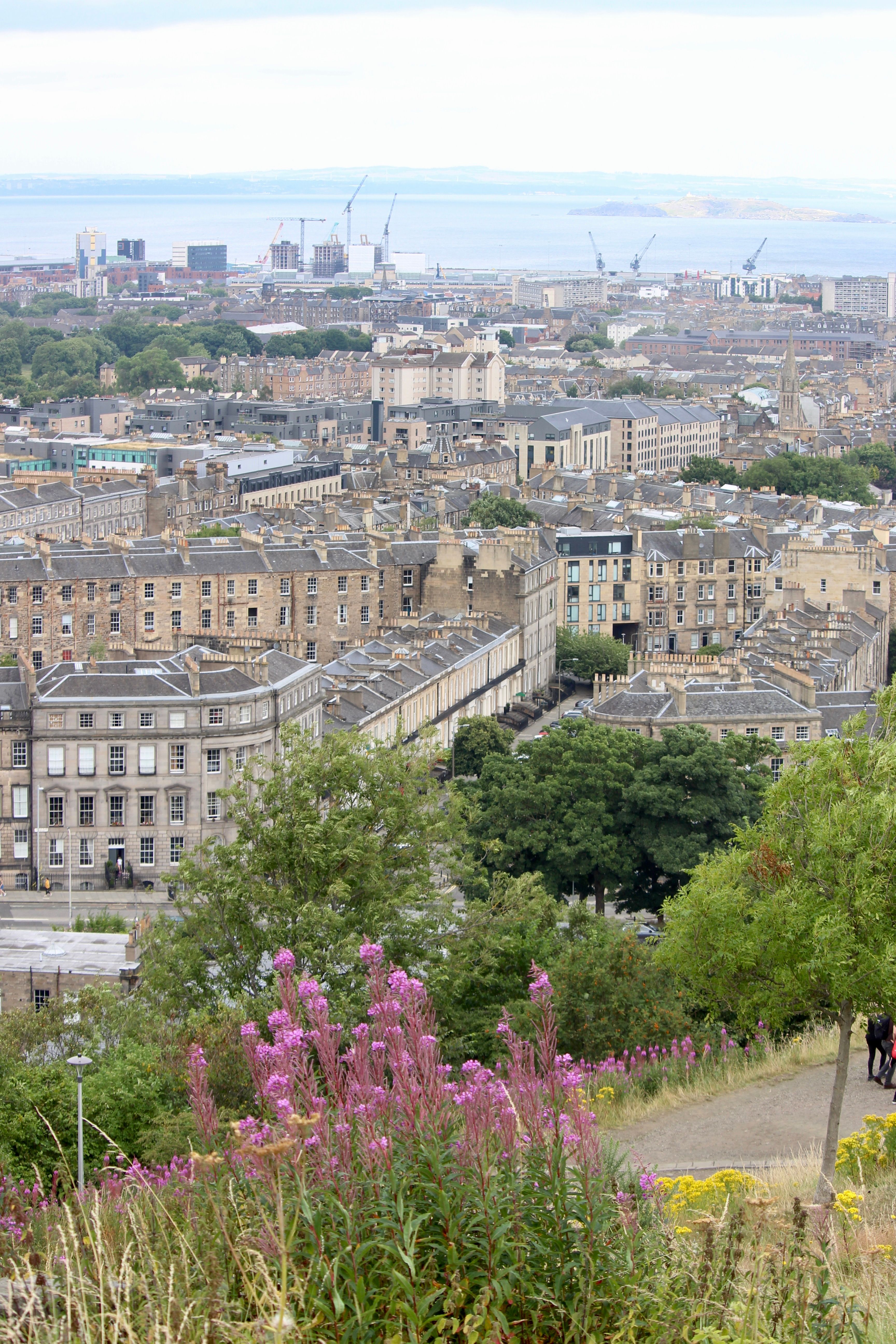 A view of the city from a hill · Free Stock Photo