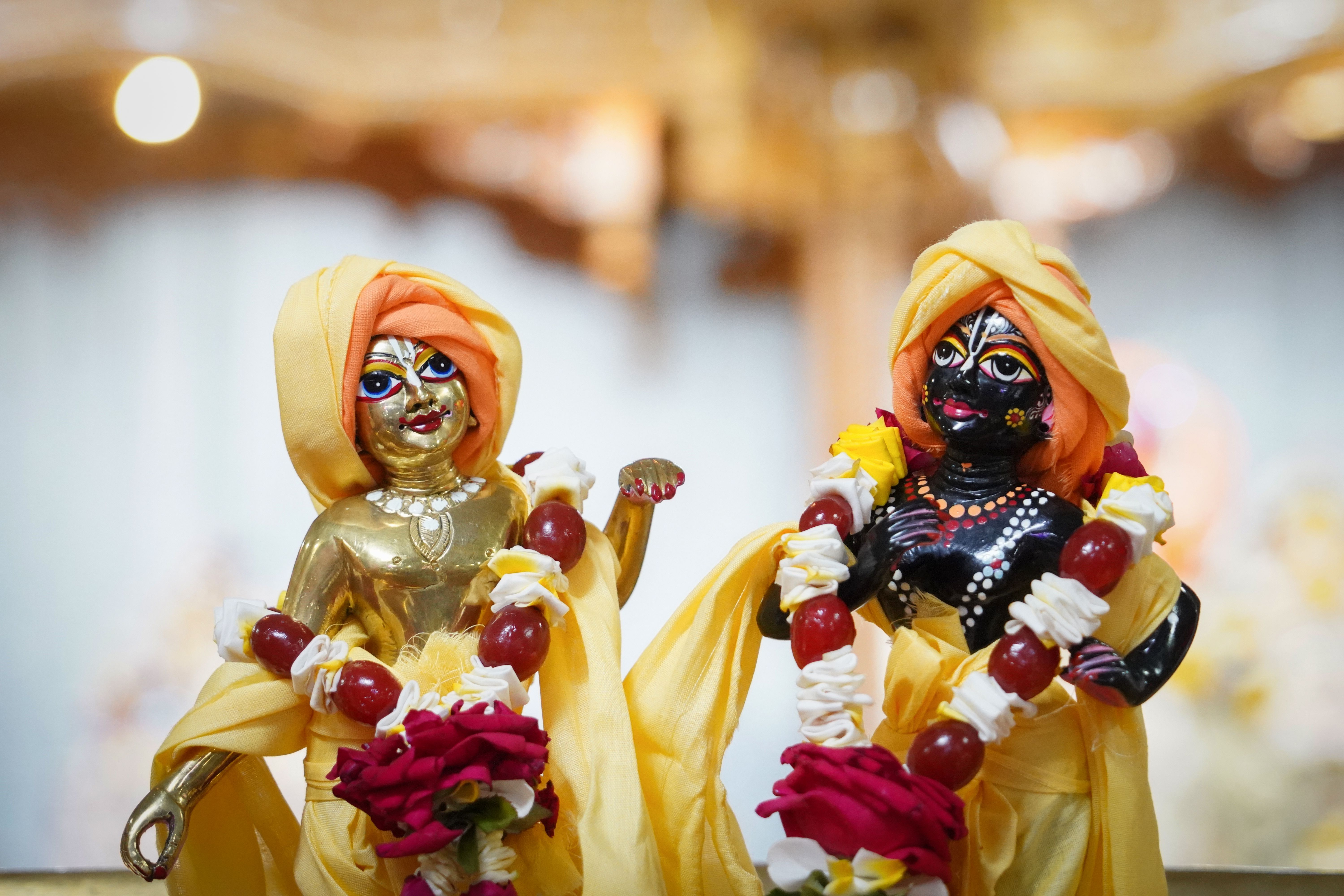 balaram purnima 2024 · Free Stock Photo