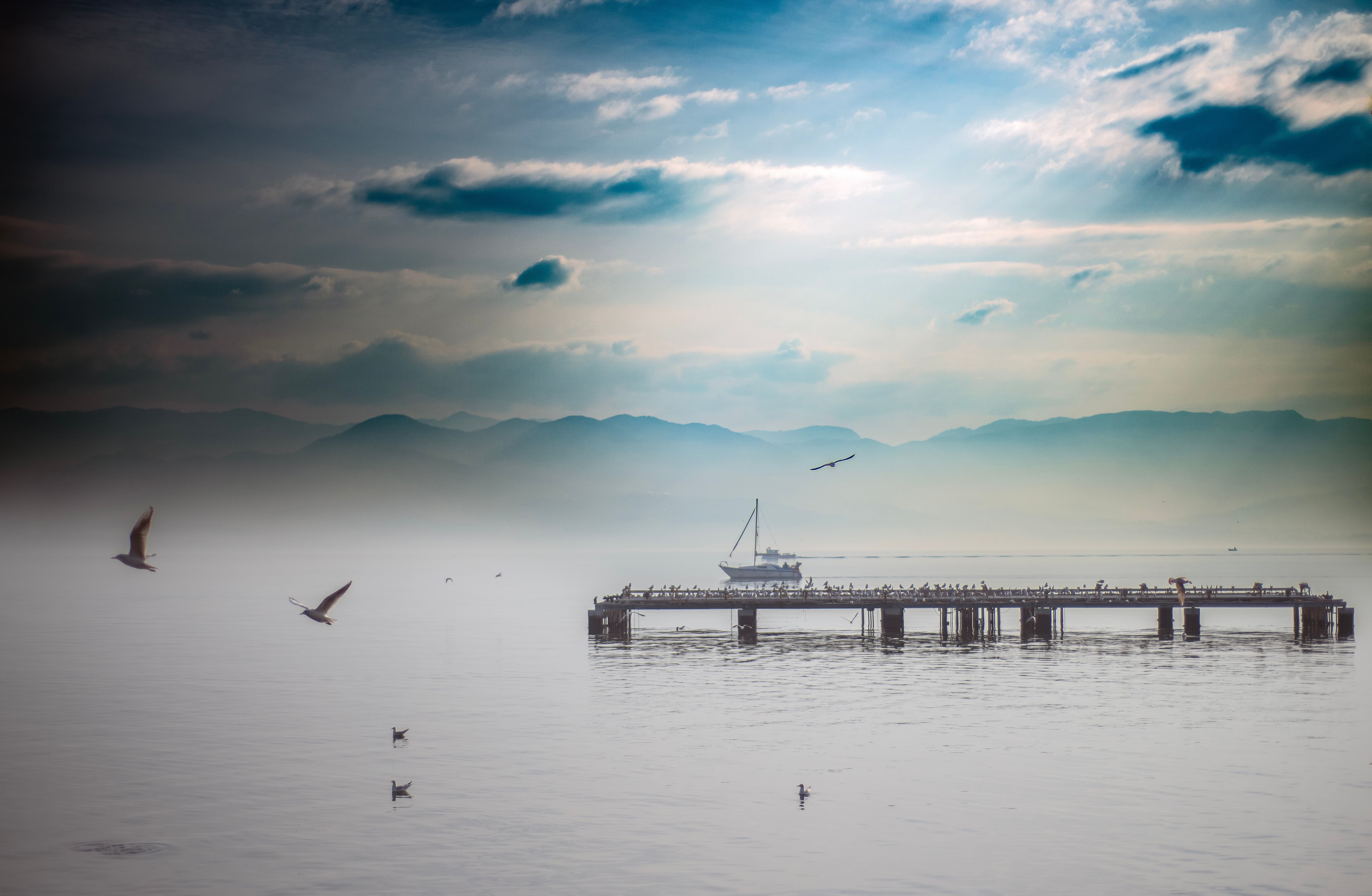 A pier with birds flying over it and a boat · Free Stock Photo