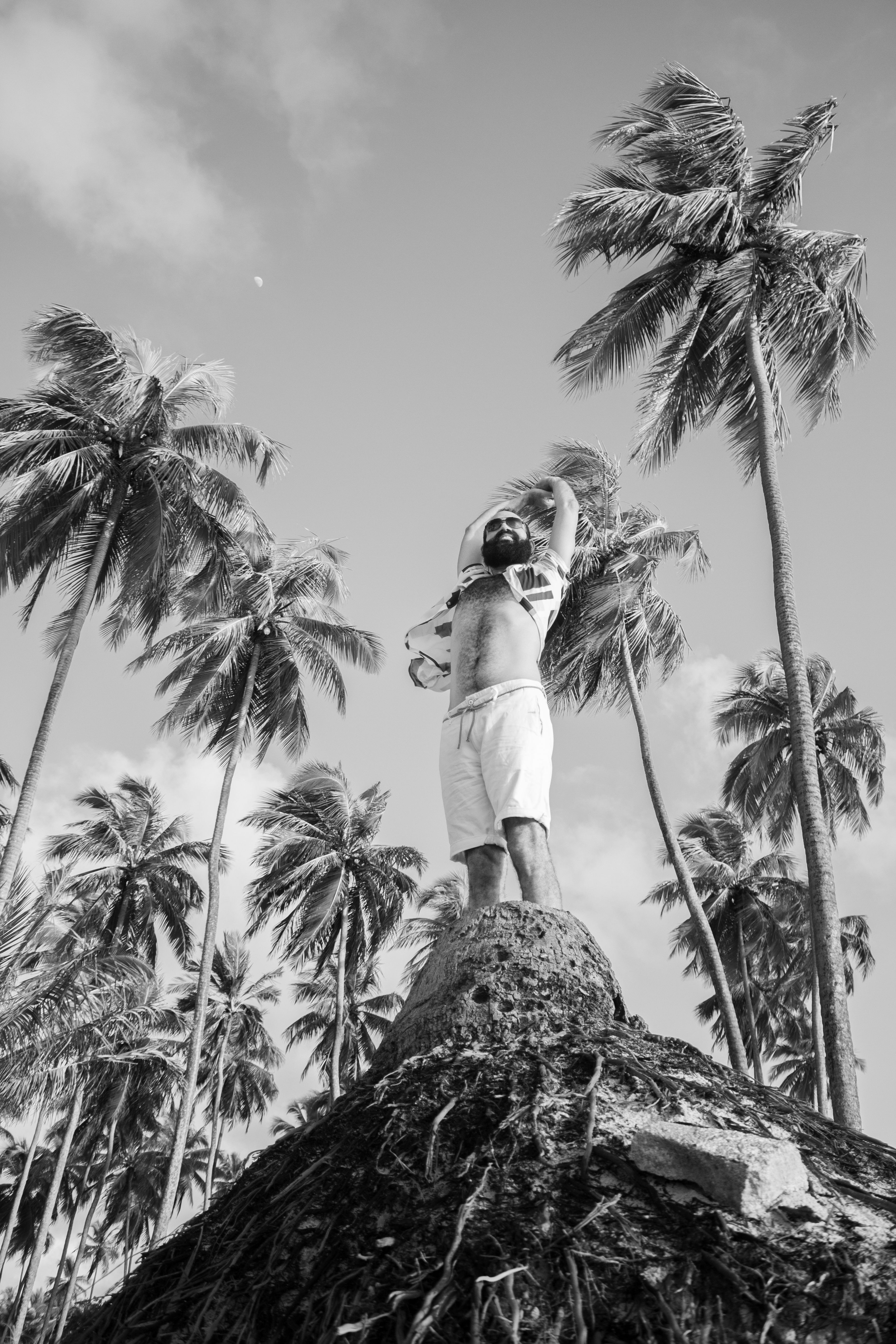 A man standing on top of a tree with palm trees · Free Stock Photo