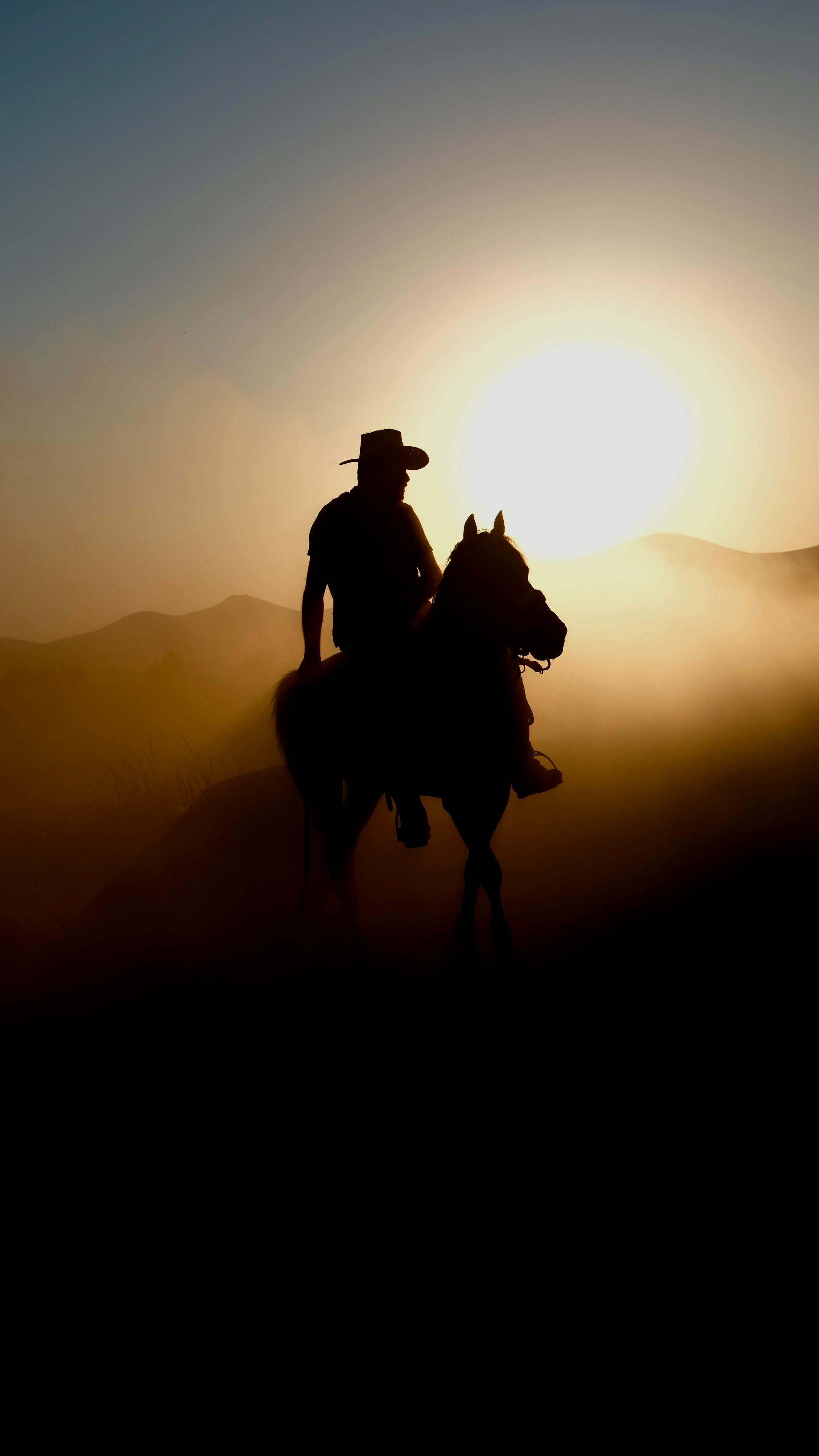 Tanaman Rodeo Photos, Download The BEST Free Tanaman Rodeo Stock Photos ...