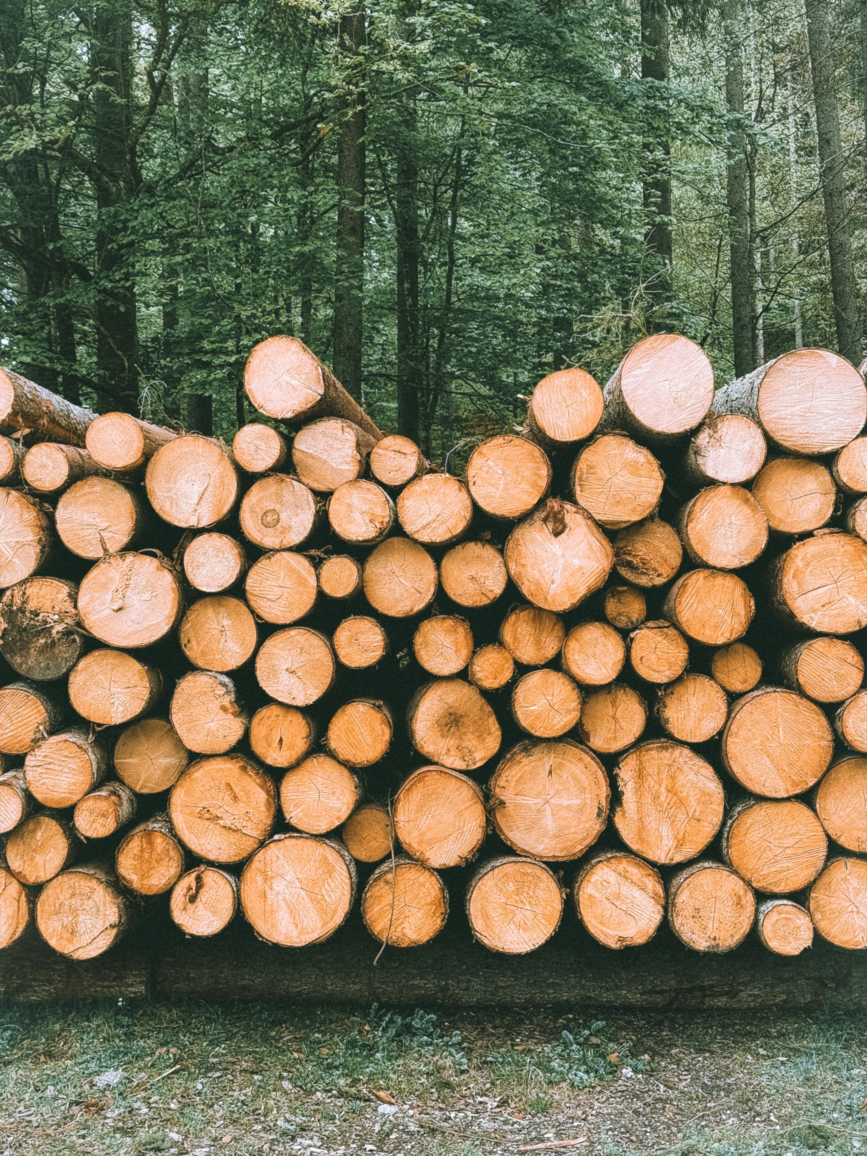 Foto de stock gratuita sobre a base de madera, afuera, al aire libre ...