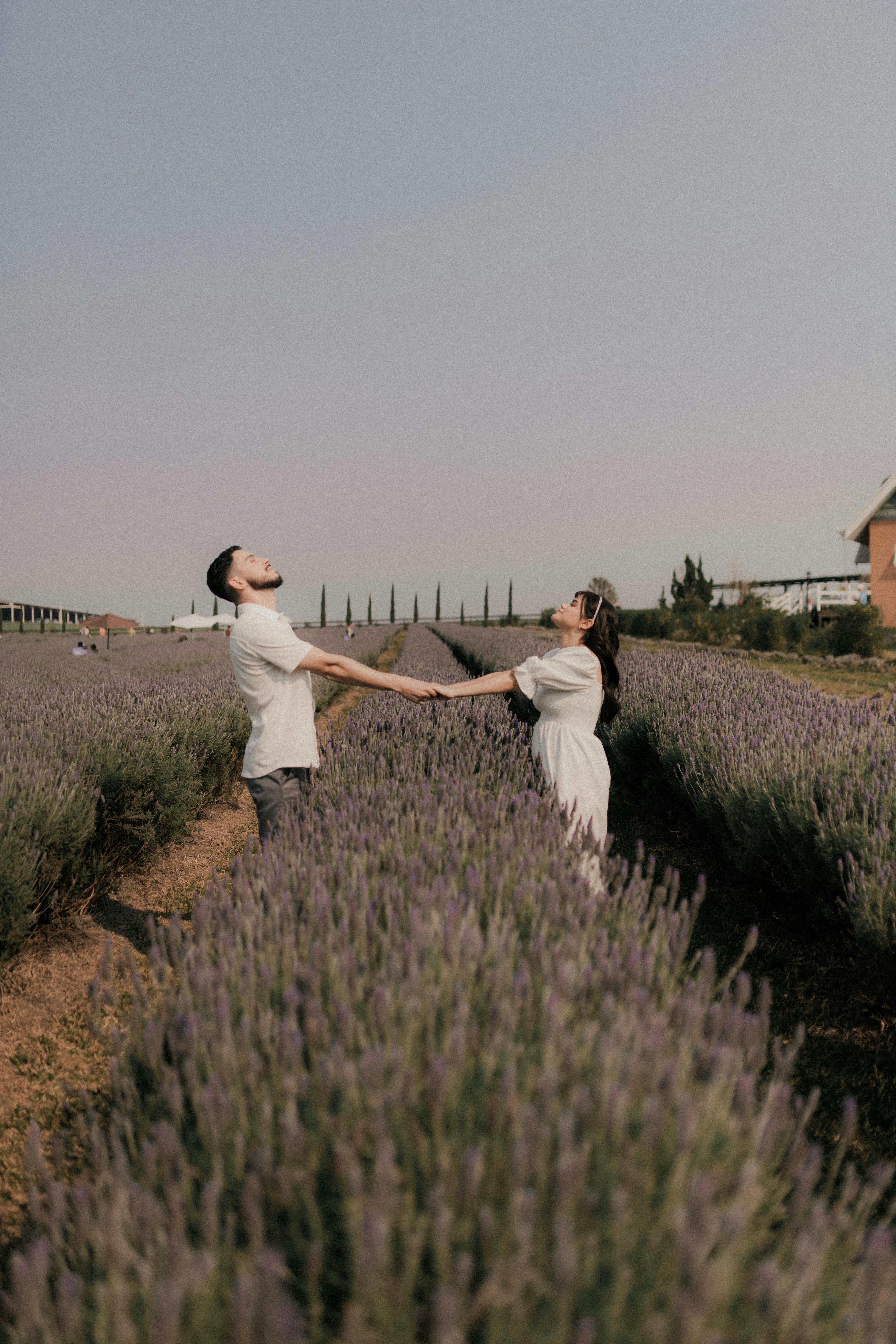 A couple holding hands in a lavender field · Free Stock Photo