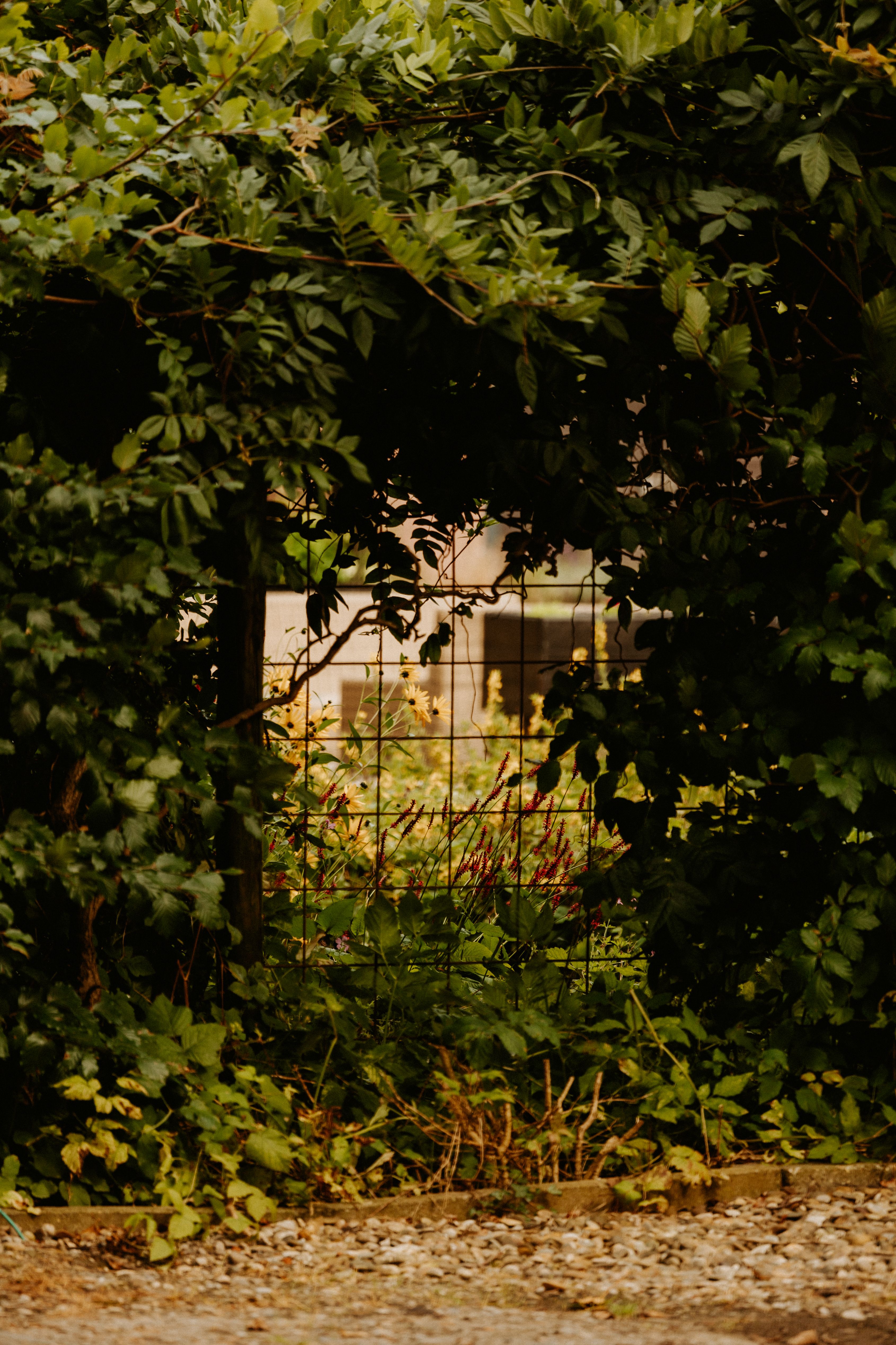 A man is standing in front of a gate · Free Stock Photo