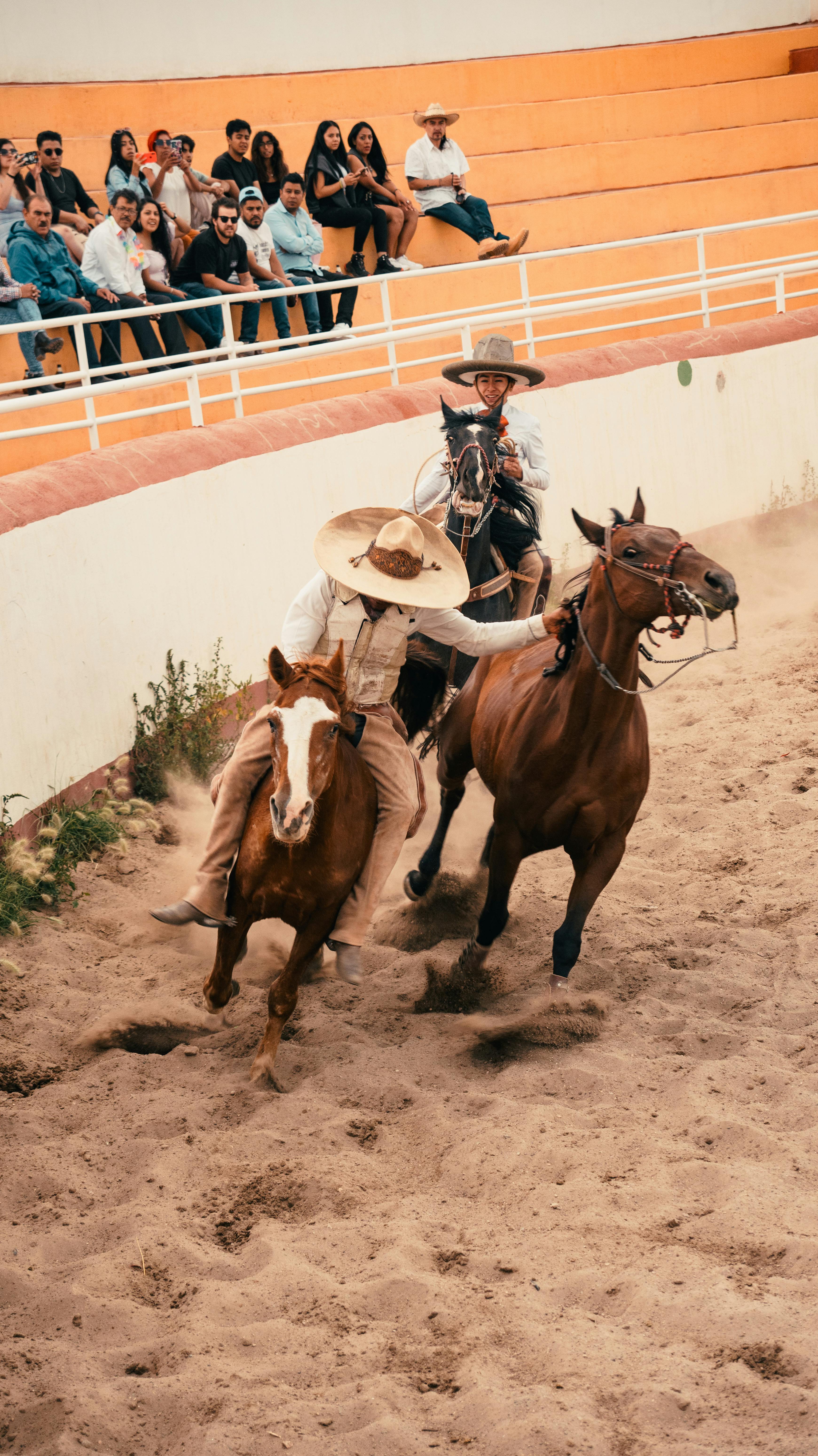 Foto de stock gratuita sobre acción, actuación, al aire libre, américa ...