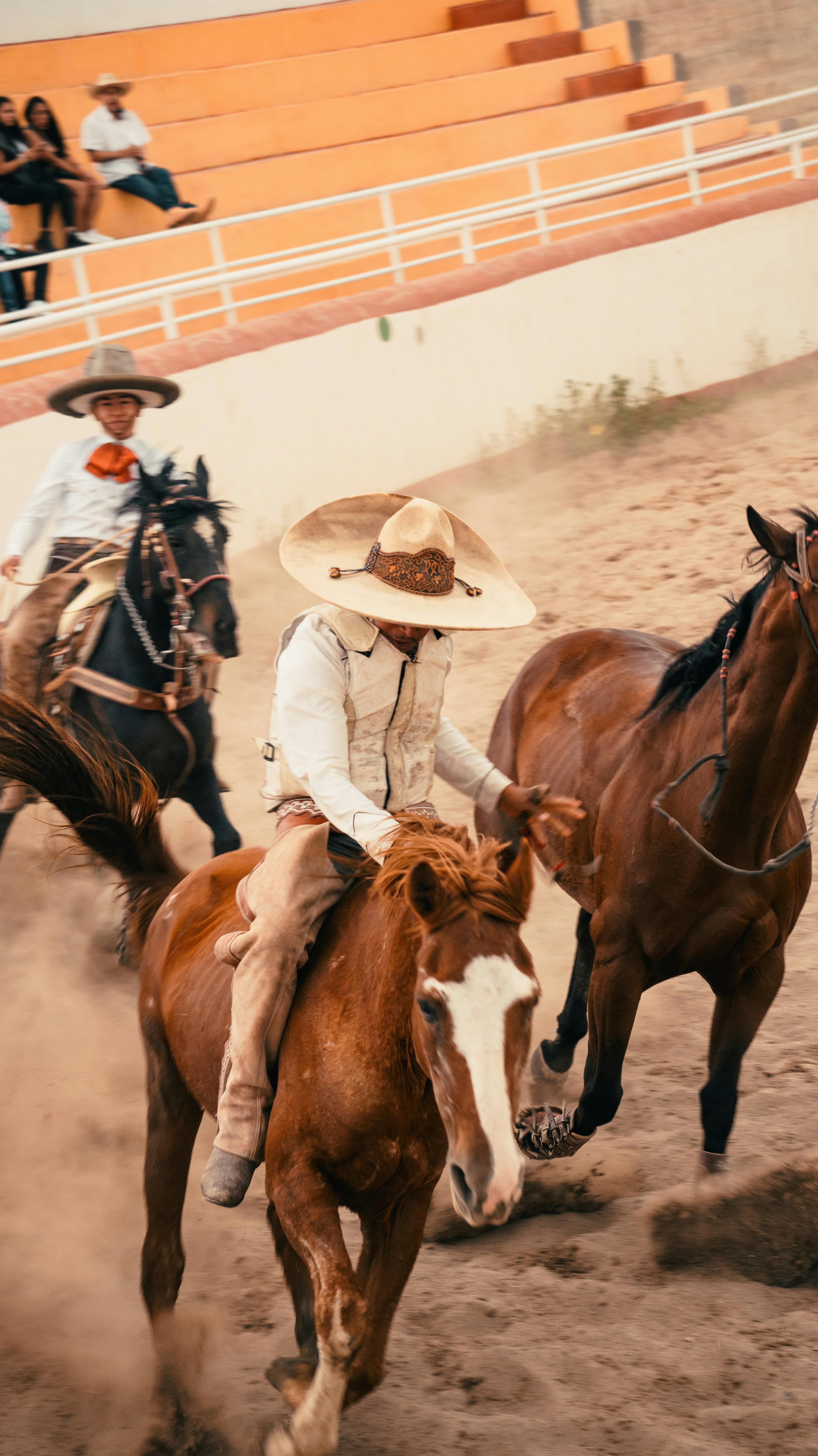 Cowboys Riding Horse Photos, Download The BEST Free Cowboys Riding ...