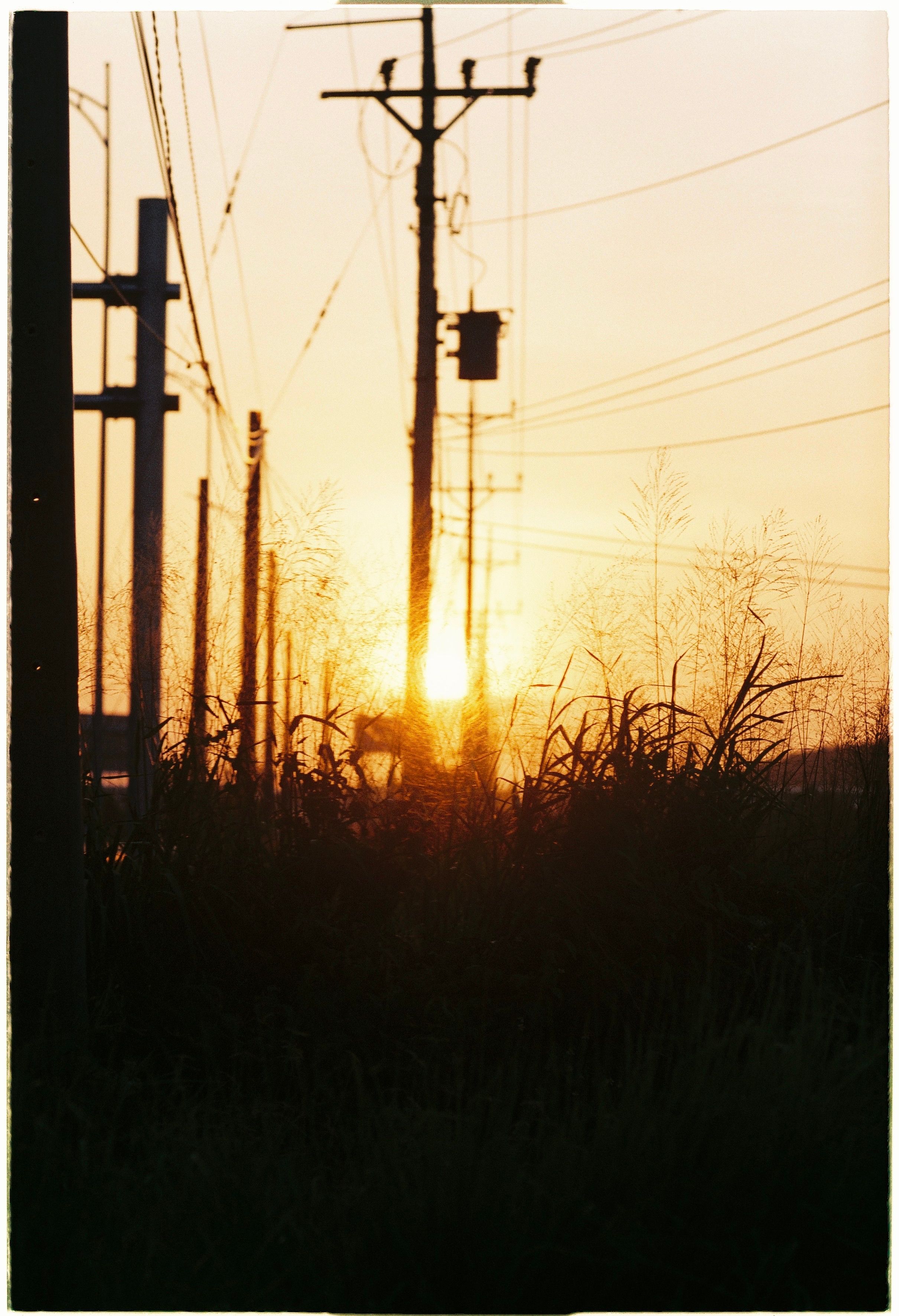 A sunset over a field with telephone poles · Free Stock Photo