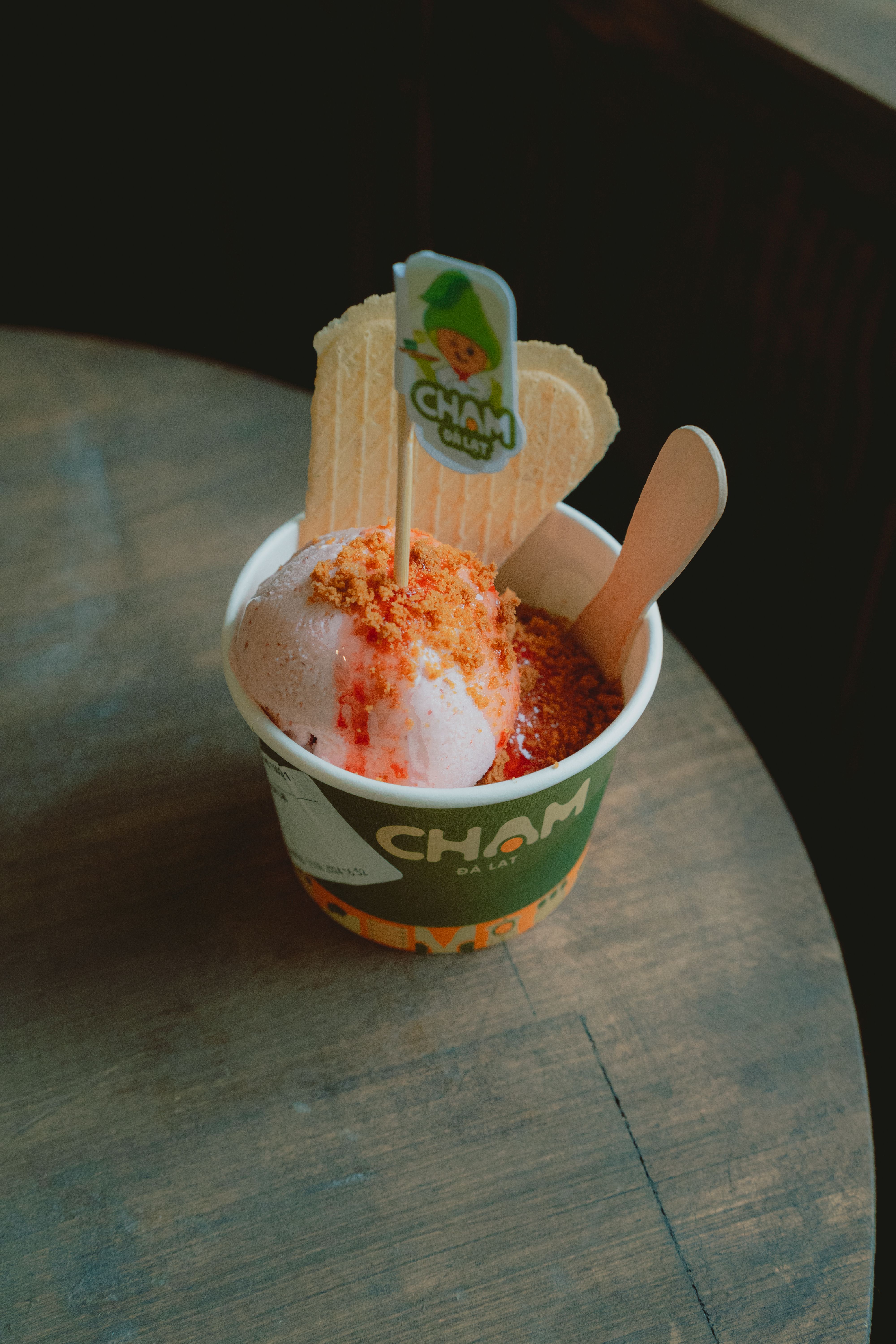 A small cup of ice cream with a spoon and a stick · Free Stock Photo