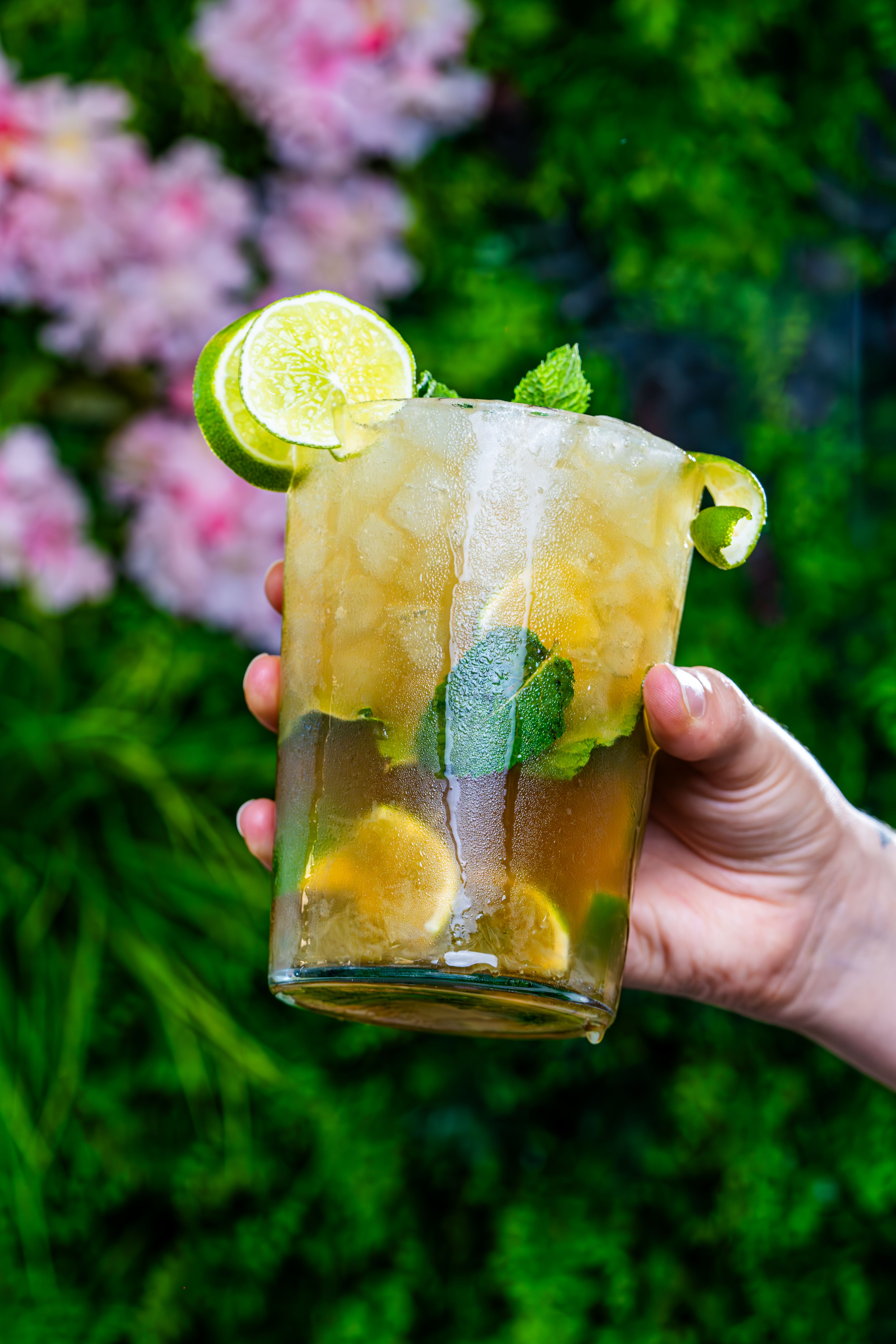 A hand holding a glass of mojito with lime and mint · Free Stock Photo