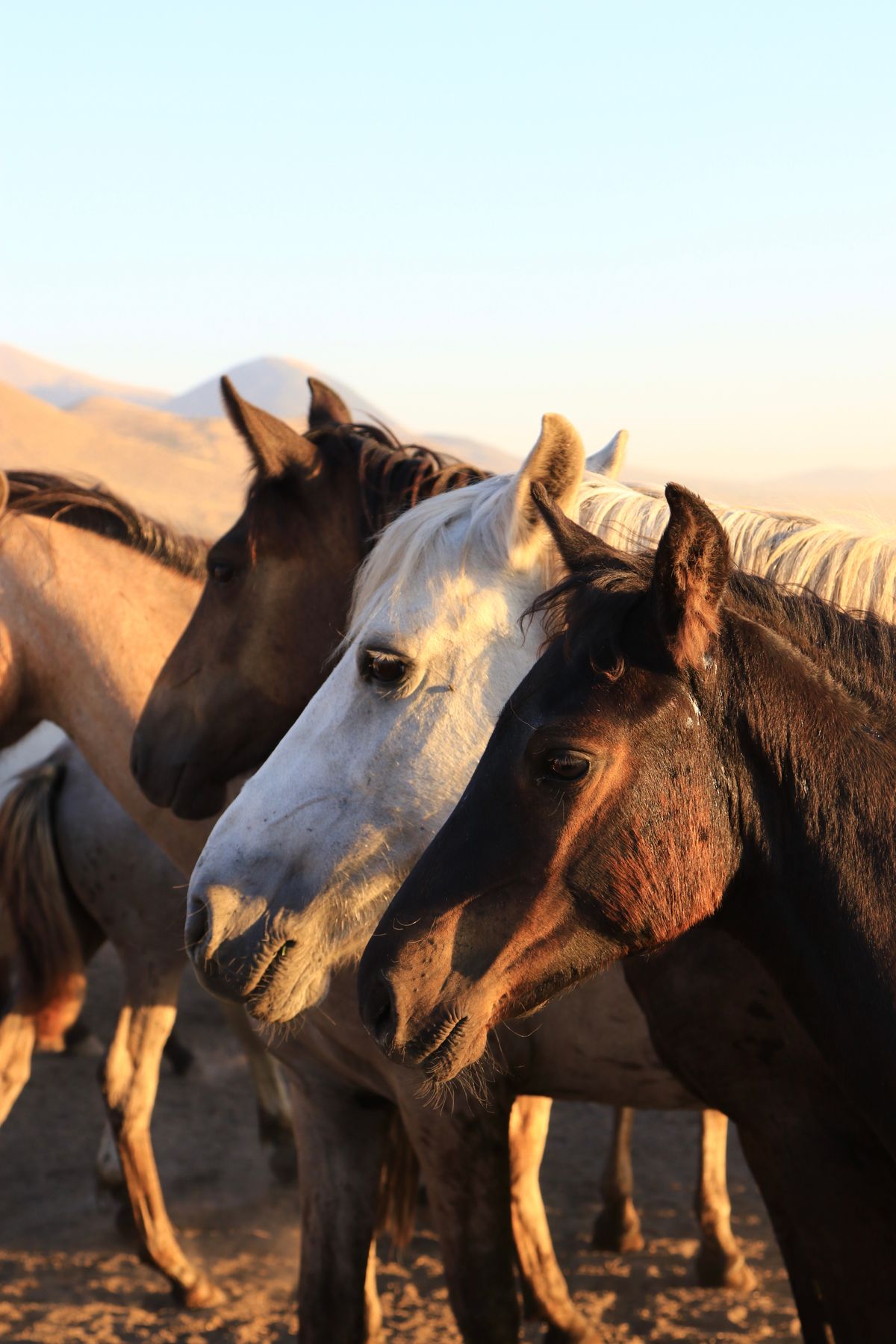 Free Country Photos, Download The BEST Free Free Country Stock Photos ...