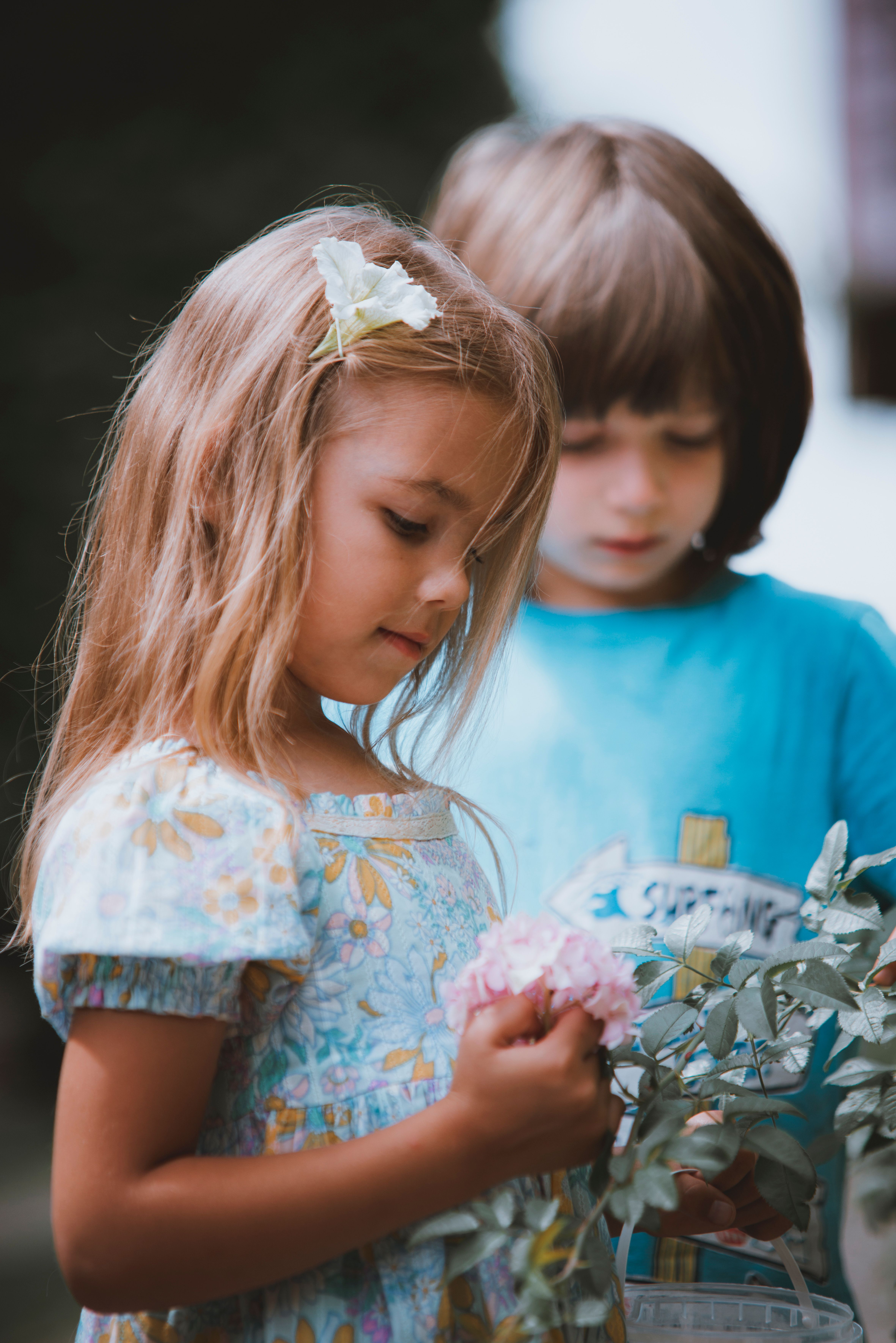 Two children looking at flowers in a garden · Free Stock Photo