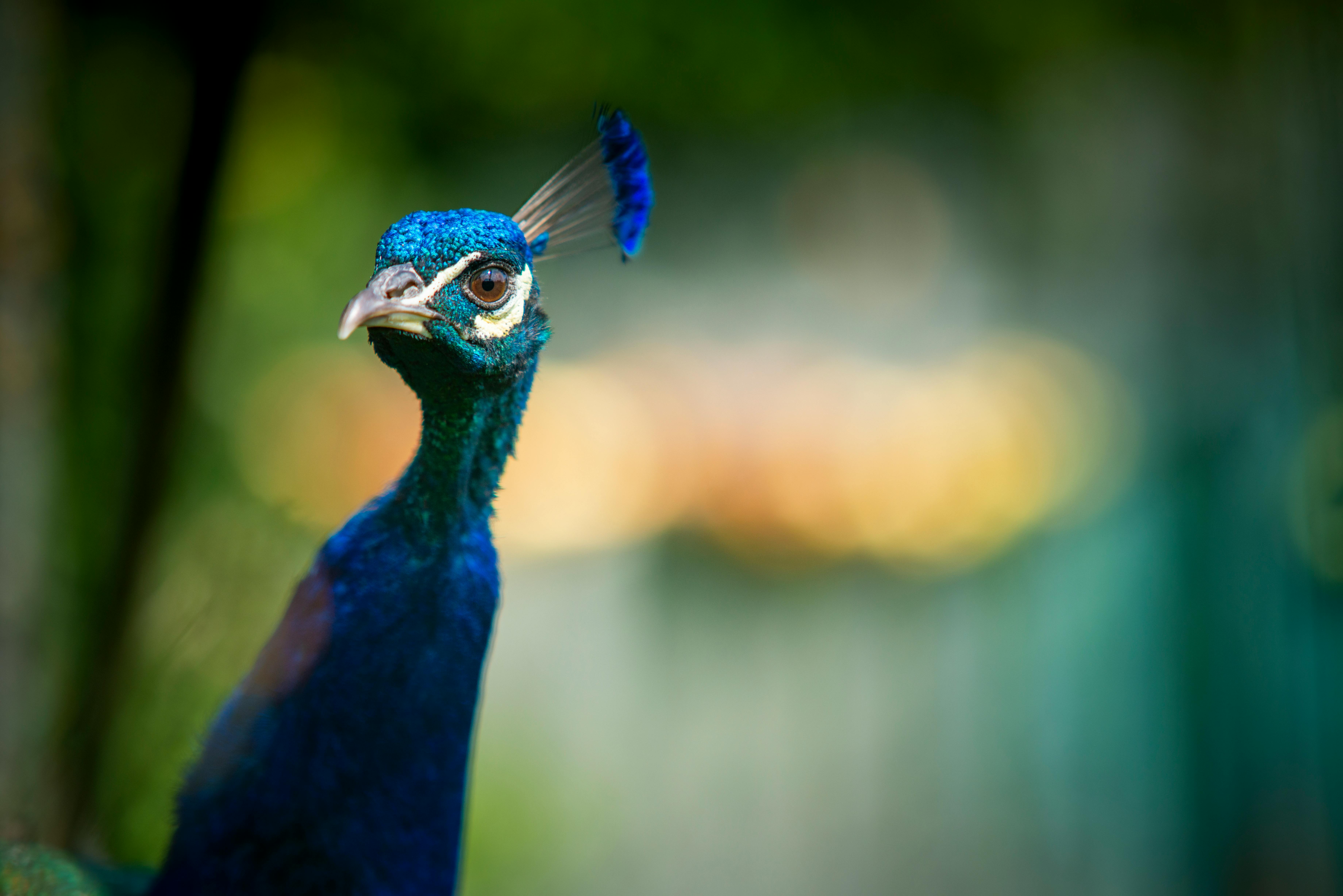 Tint Day Photos, Download The BEST Free Tint Day Stock Photos & HD Images