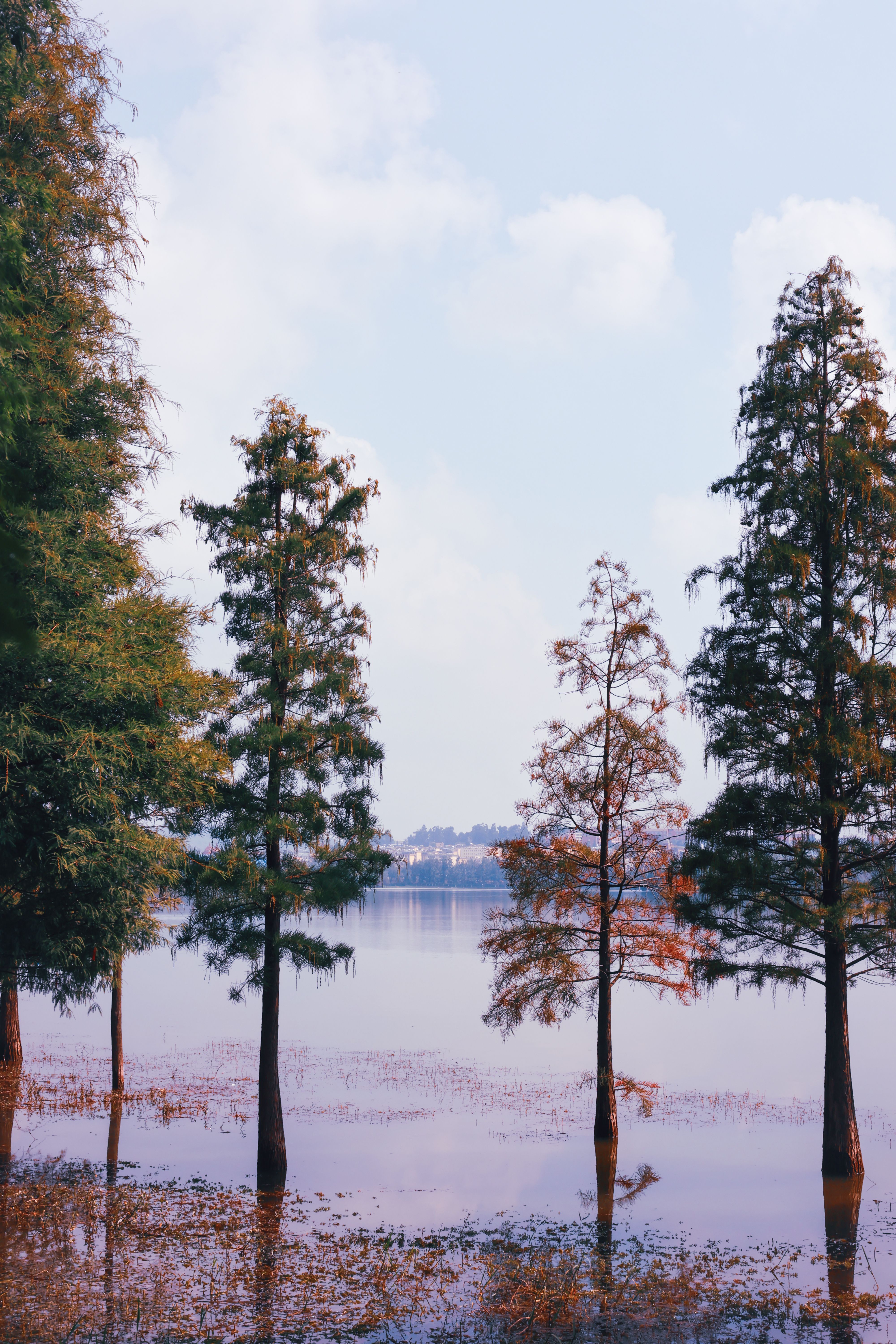 Aqua Peace Photos, Download The BEST Free Aqua Peace Stock Photos & HD ...