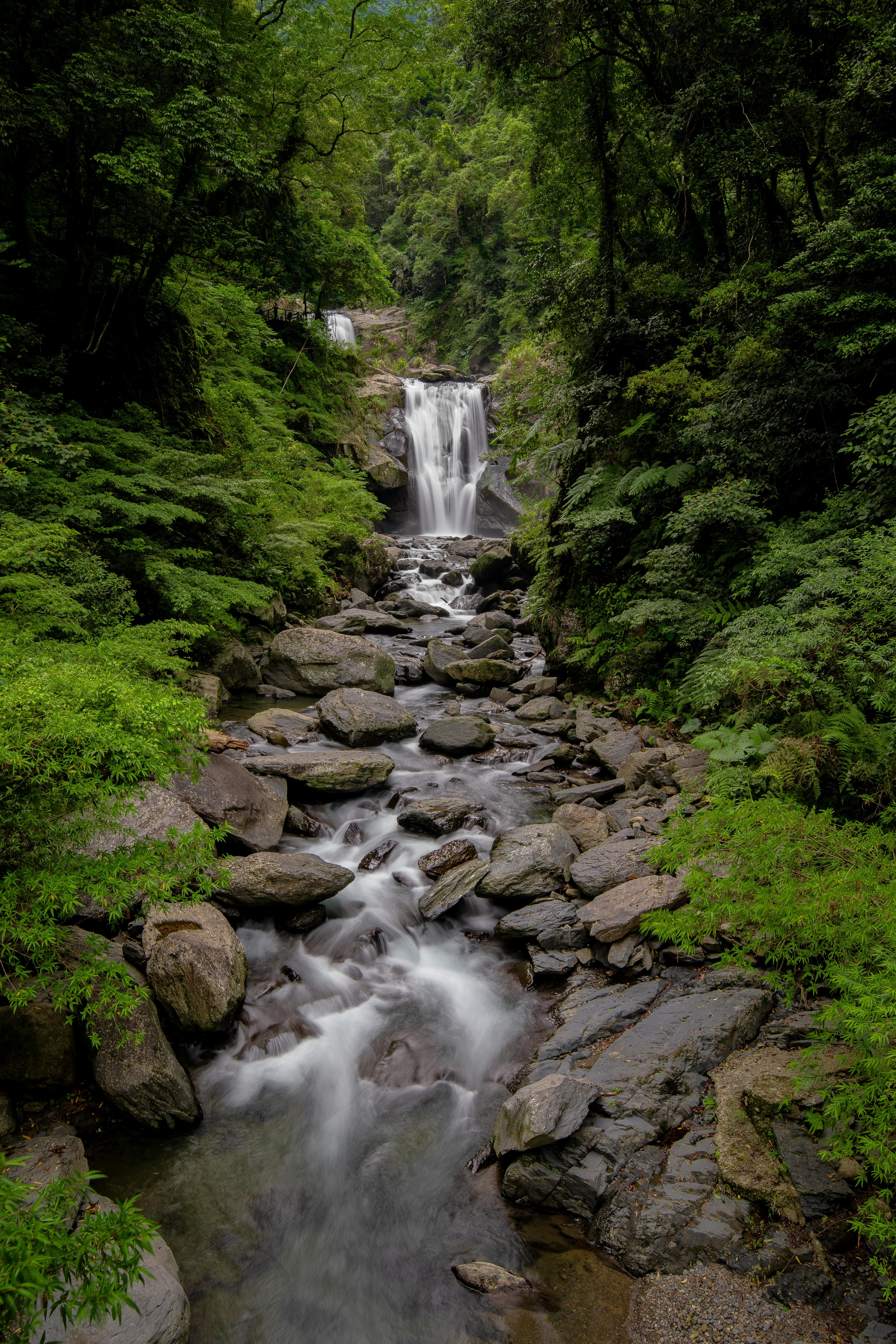 Waterfall on Cliff With Trees during Fall · Free Stock Photo