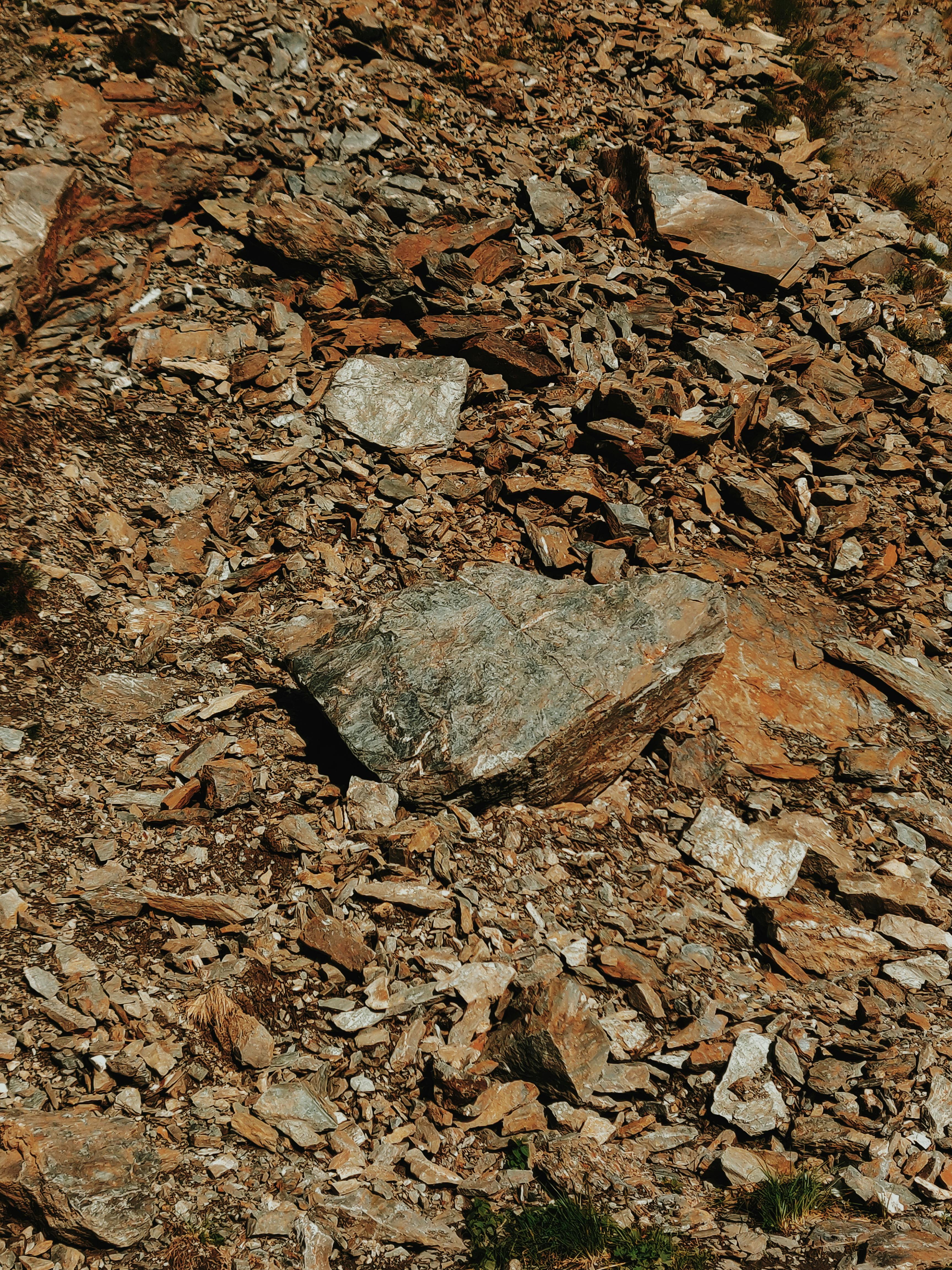 Gray Sands Closeup Photo · Free Stock Photo