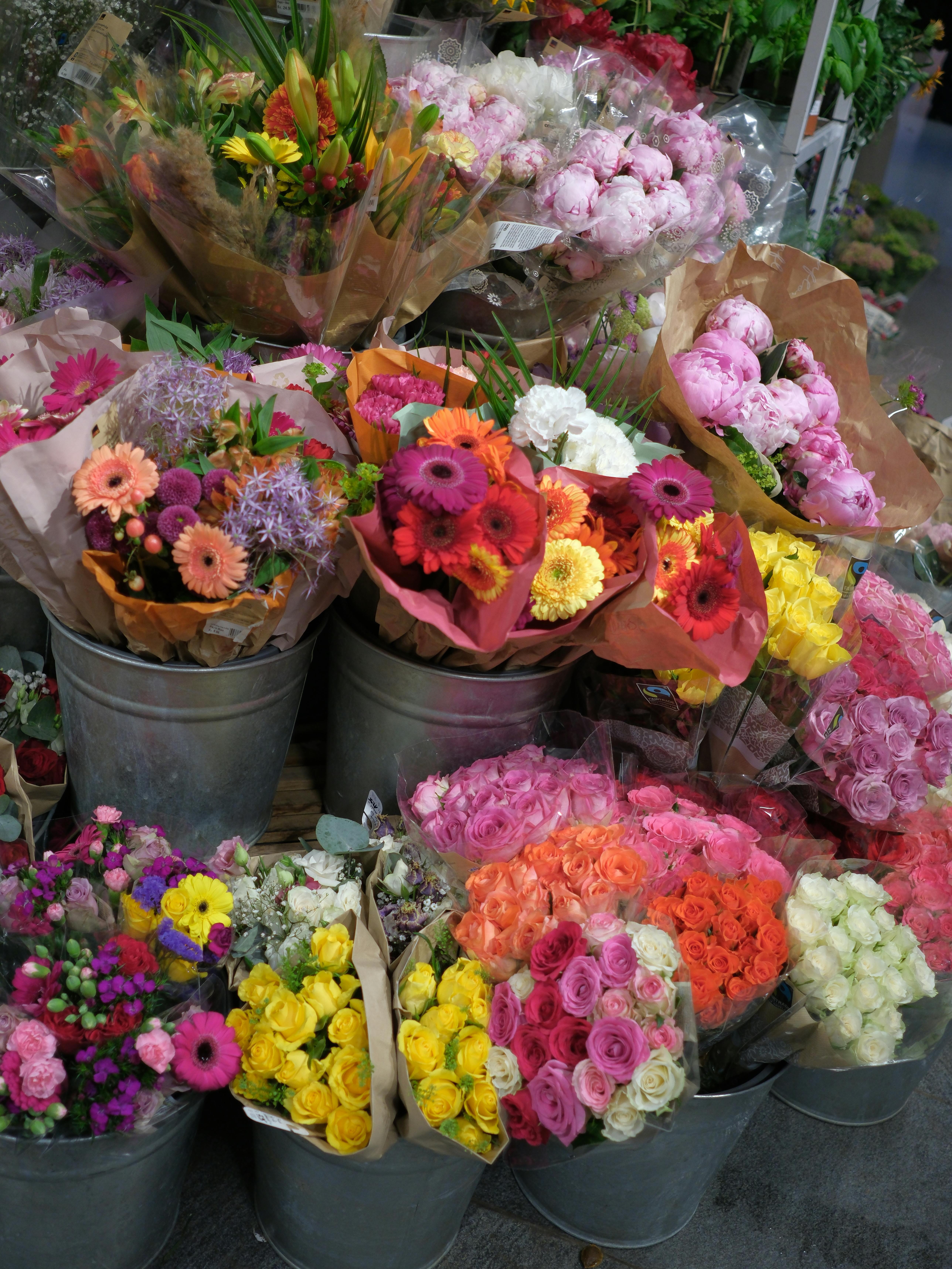 A bunch of flowers in buckets at a market · Free Stock Photo