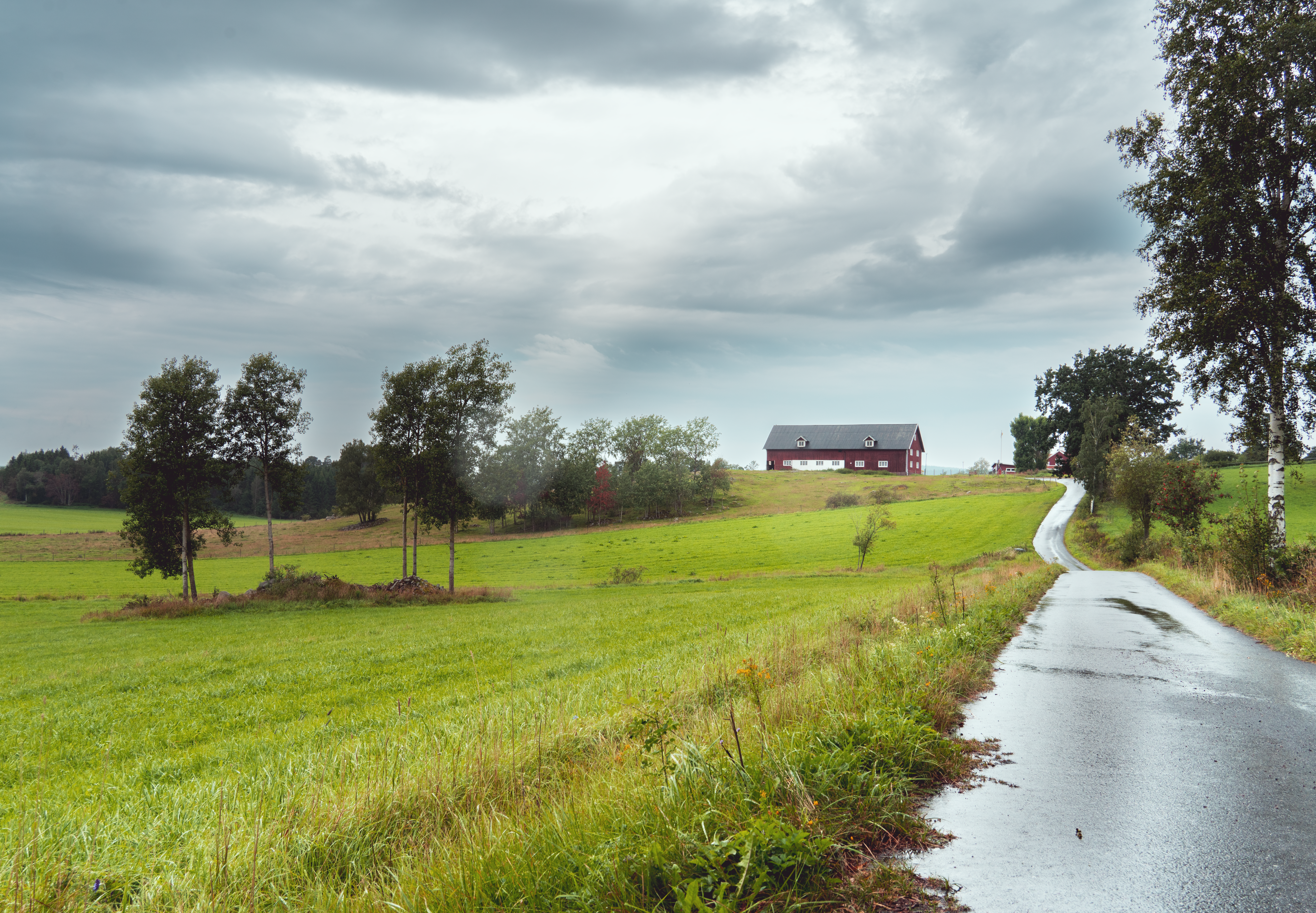 A road leading to a farm in the middle of a field · Free Stock Photo