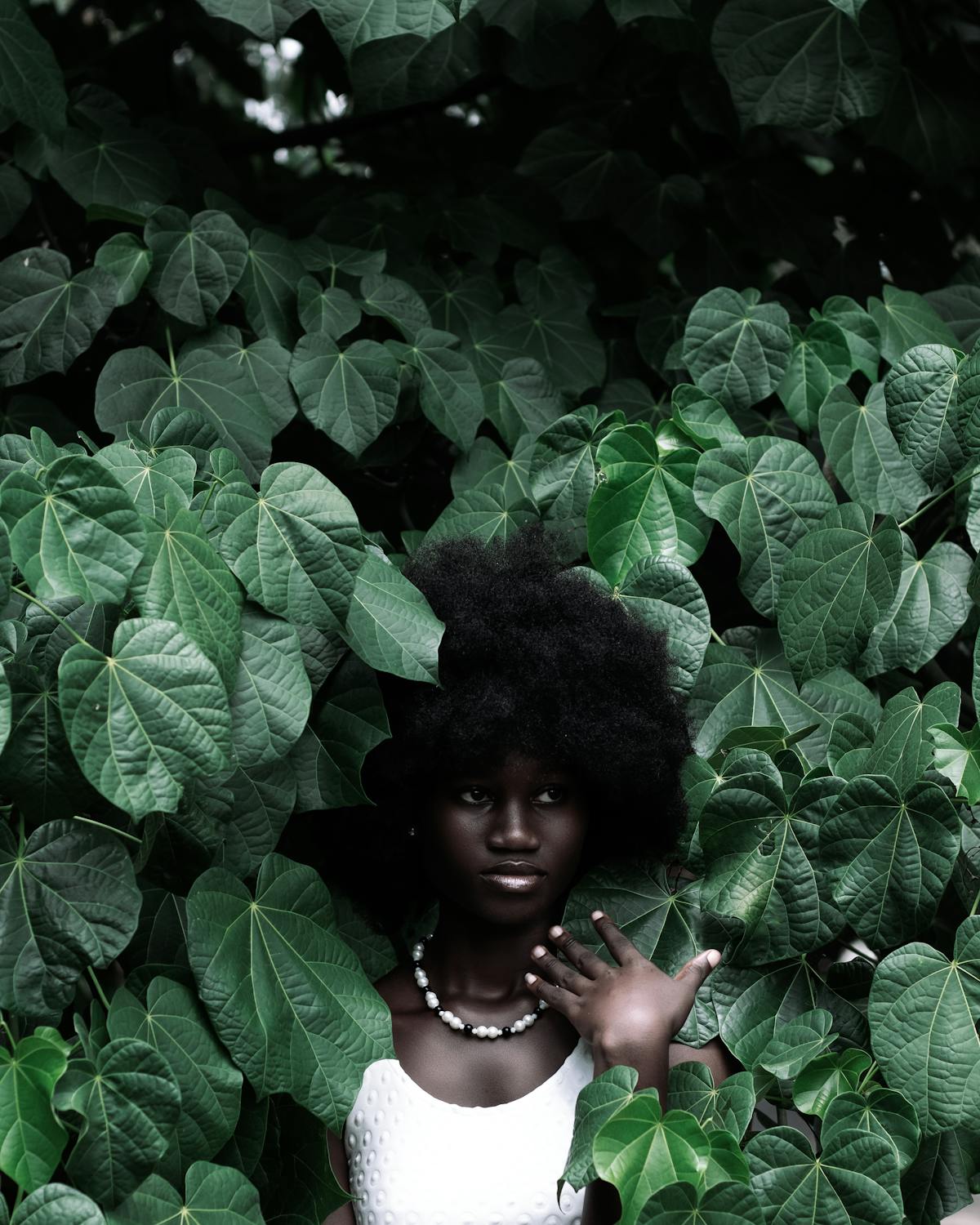 African+Models Photos, Download The BEST Free African+Models Stock ...