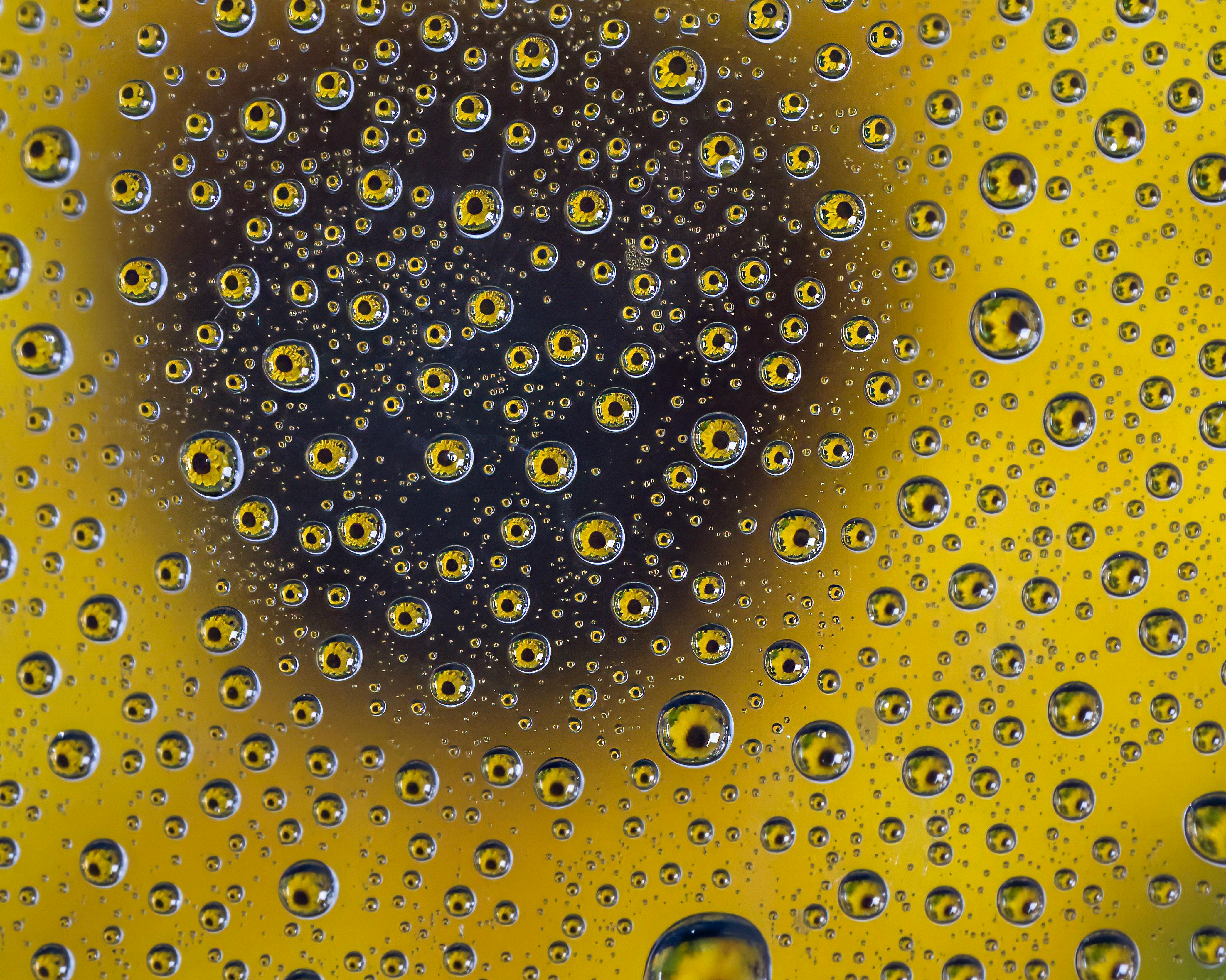 Macro Shot Photography of Water Drops · Free Stock Photo