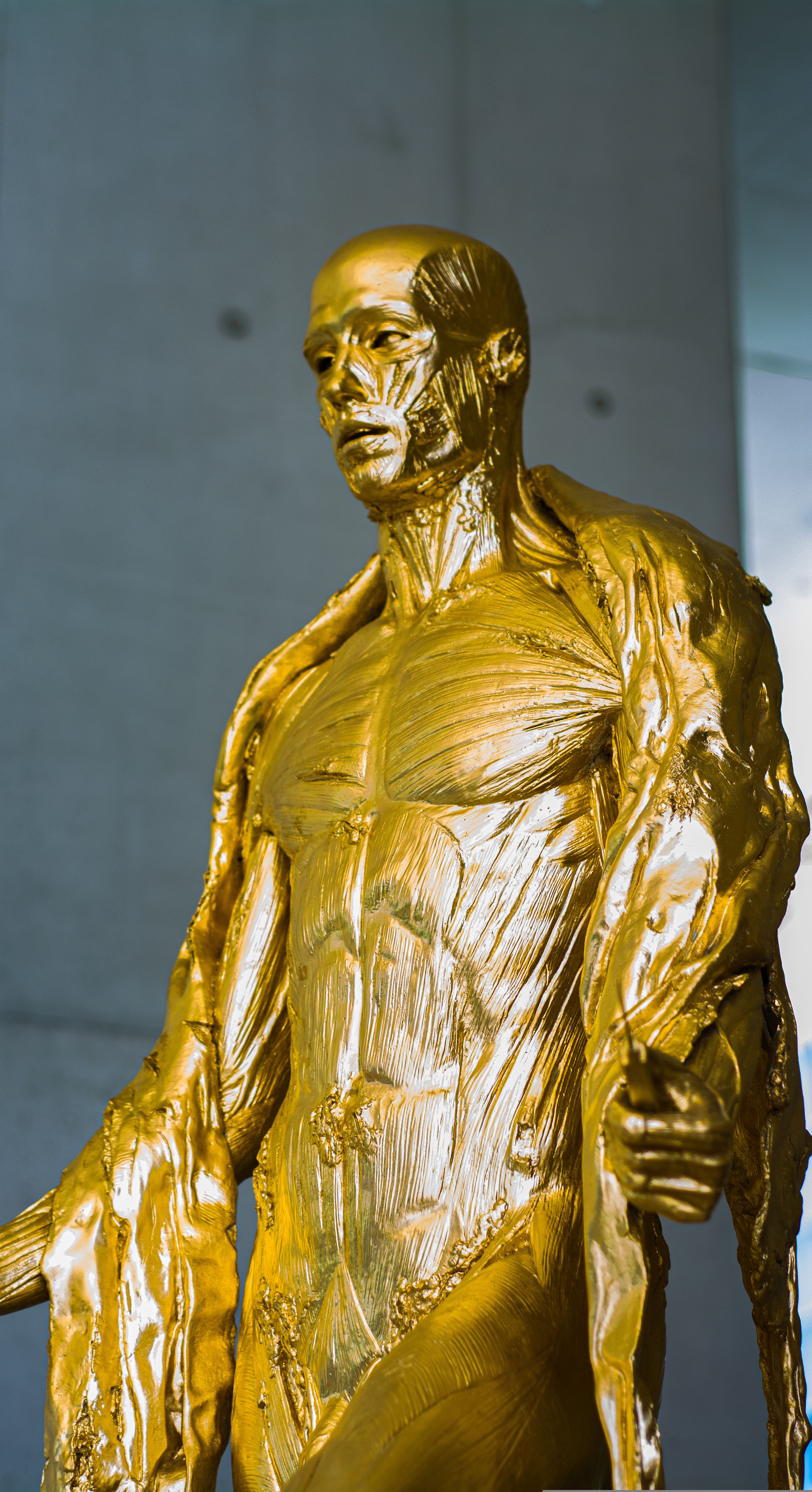 A gold statue of a man with a gold body · Free Stock Photo