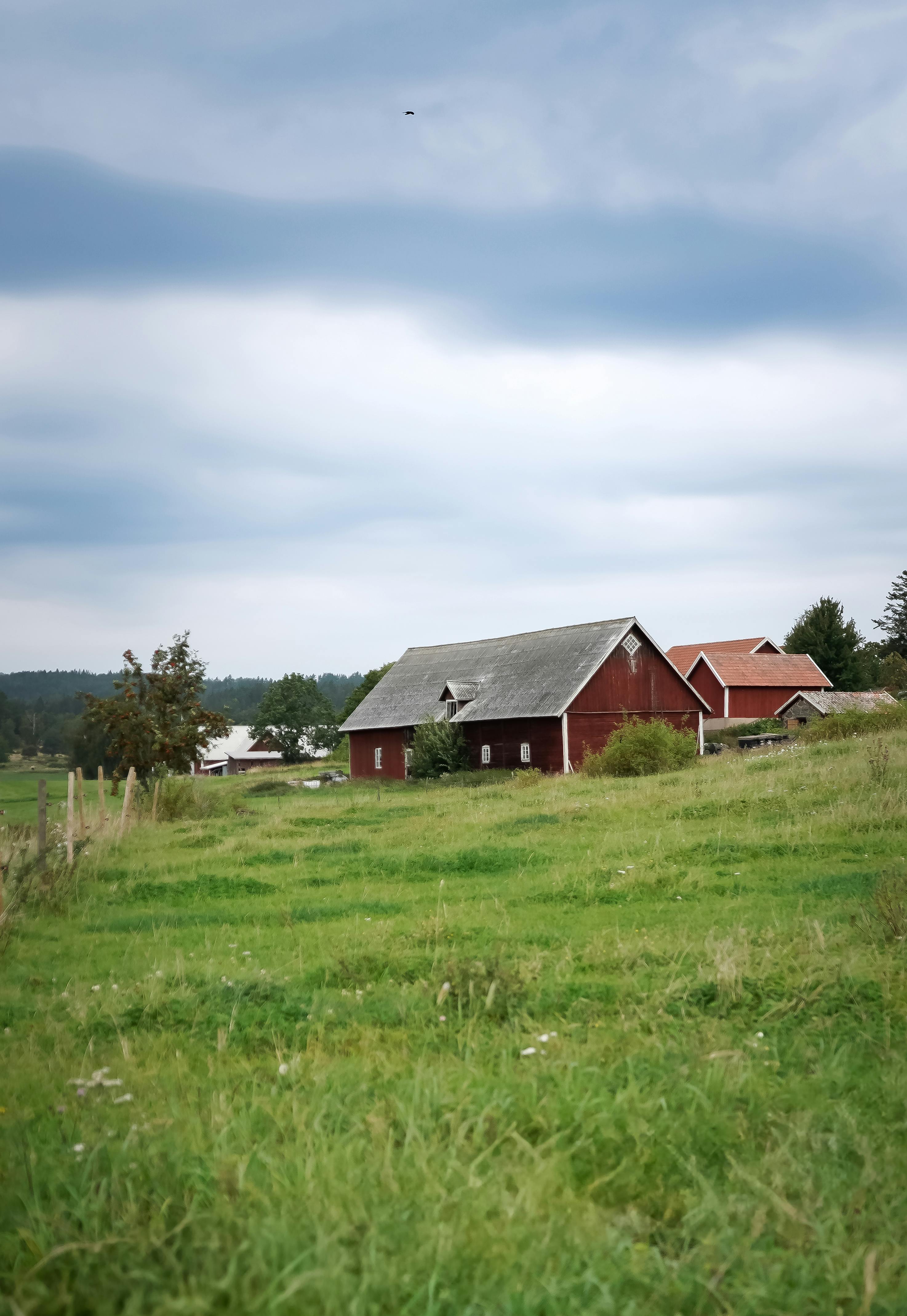 Brown House on Field · Free Stock Photo