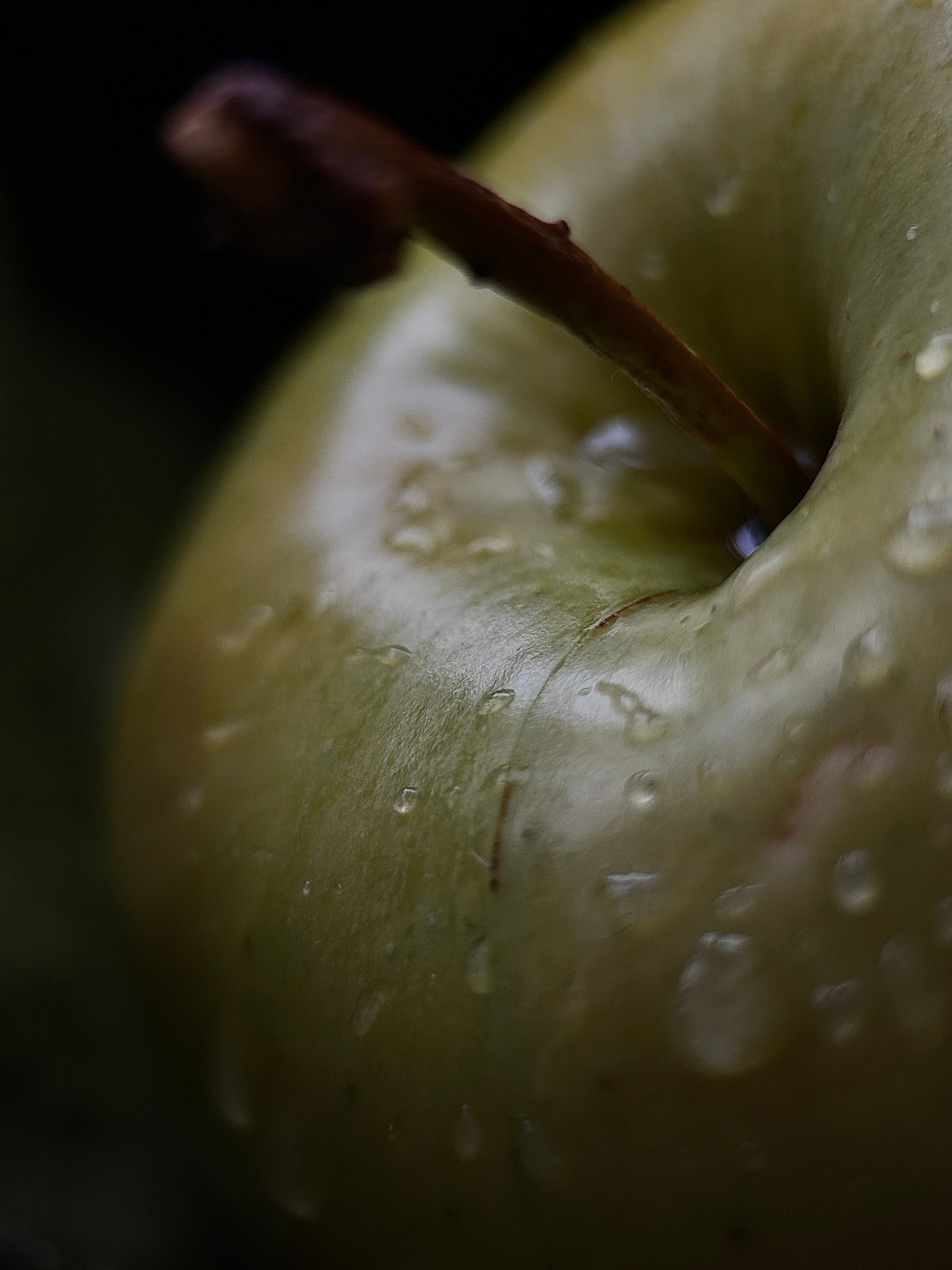 macro apple · Free Stock Photo