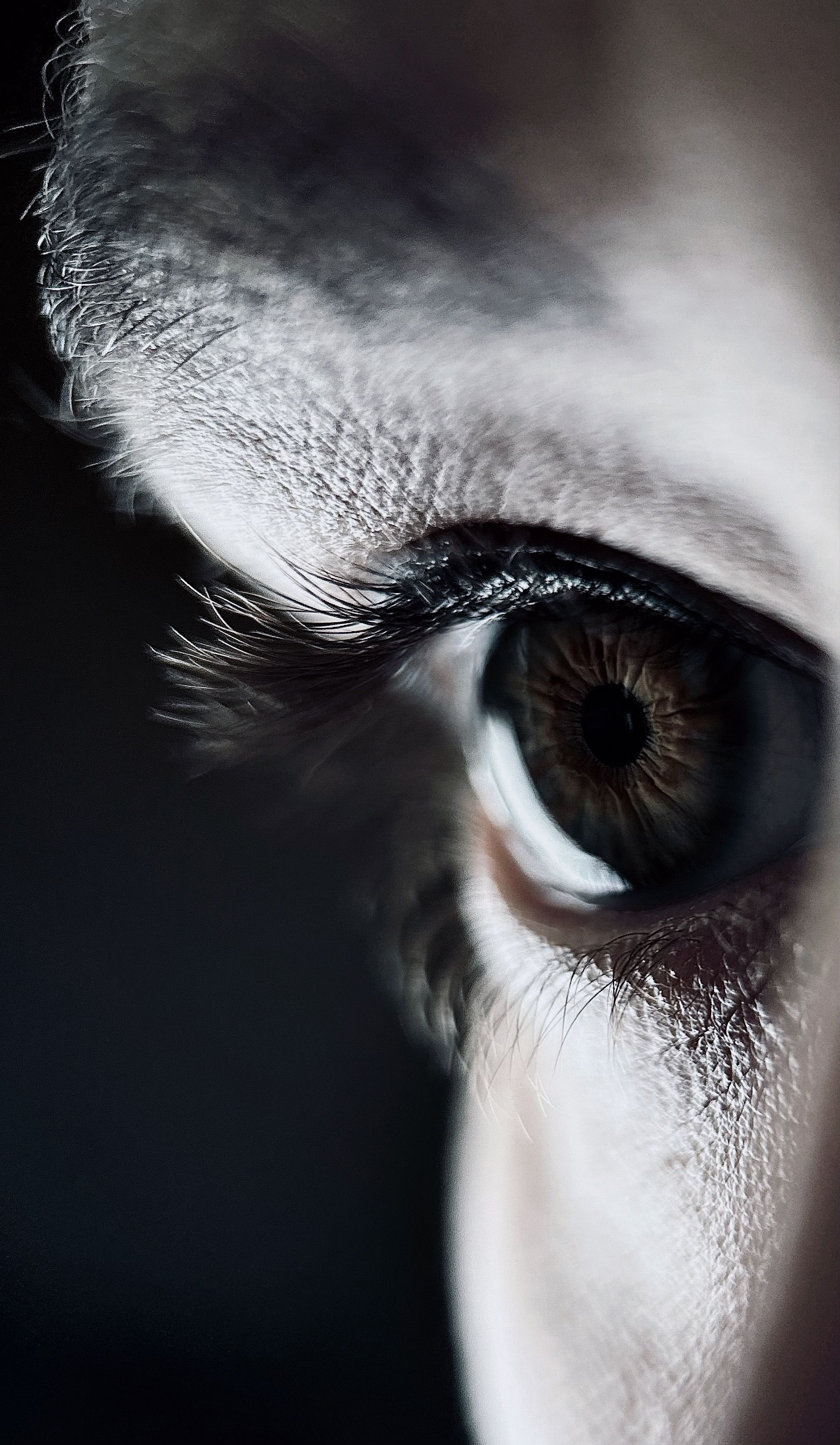 A close up of a woman's eye with a black background · Free Stock Photo